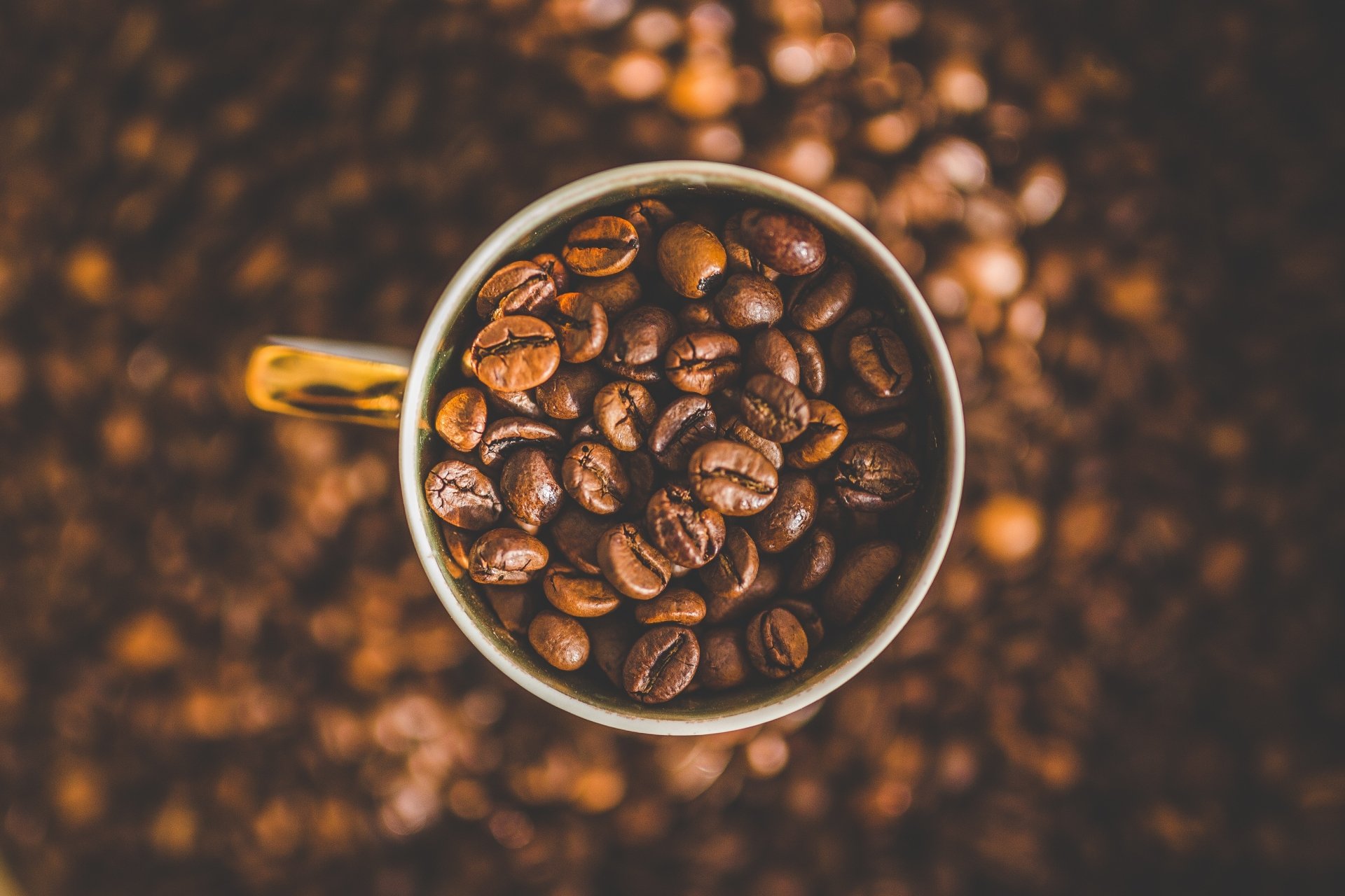 Download Cup Coffee Beans Food Coffee 4k Ultra HD Wallpaper