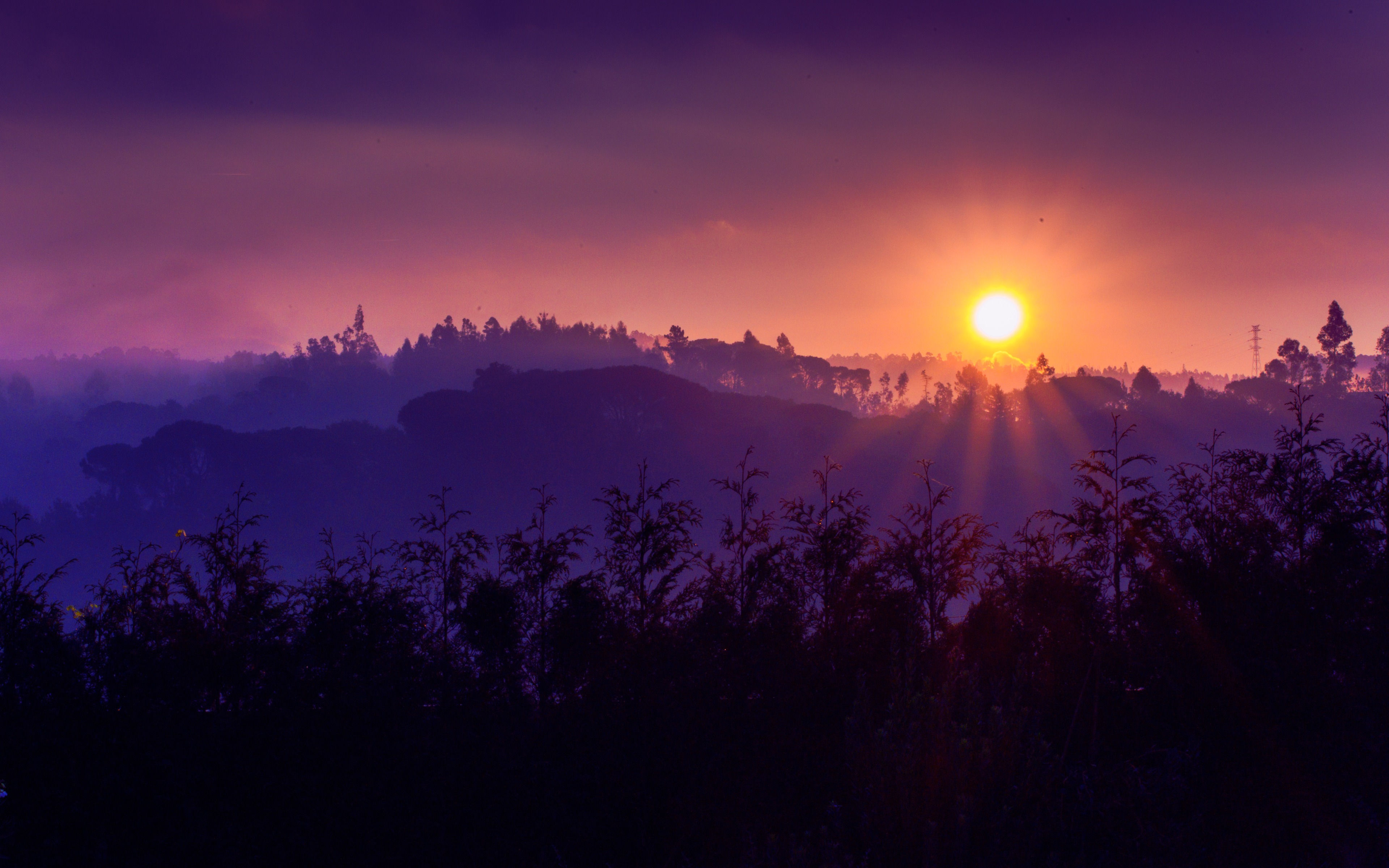 Download Sky Sun Nature Sunset 4k Ultra HD Wallpaper