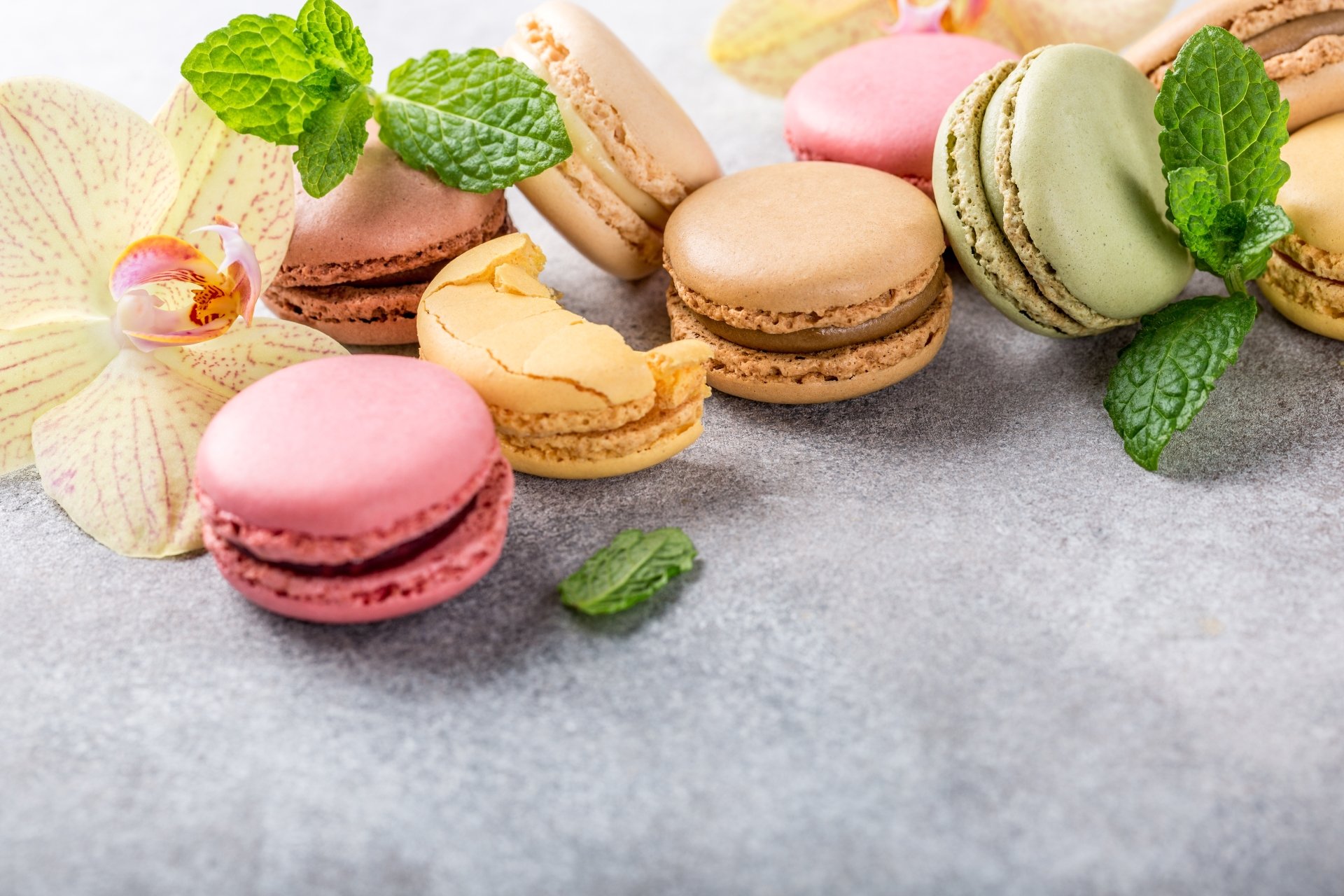 Download Still Life Sweets Food Macaron 4k Ultra HD Wallpaper