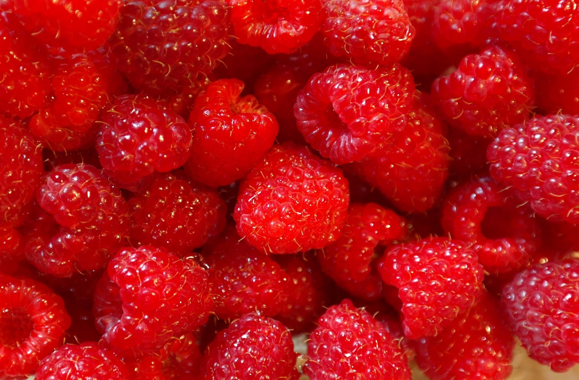 Raspberry HD Wallpaper