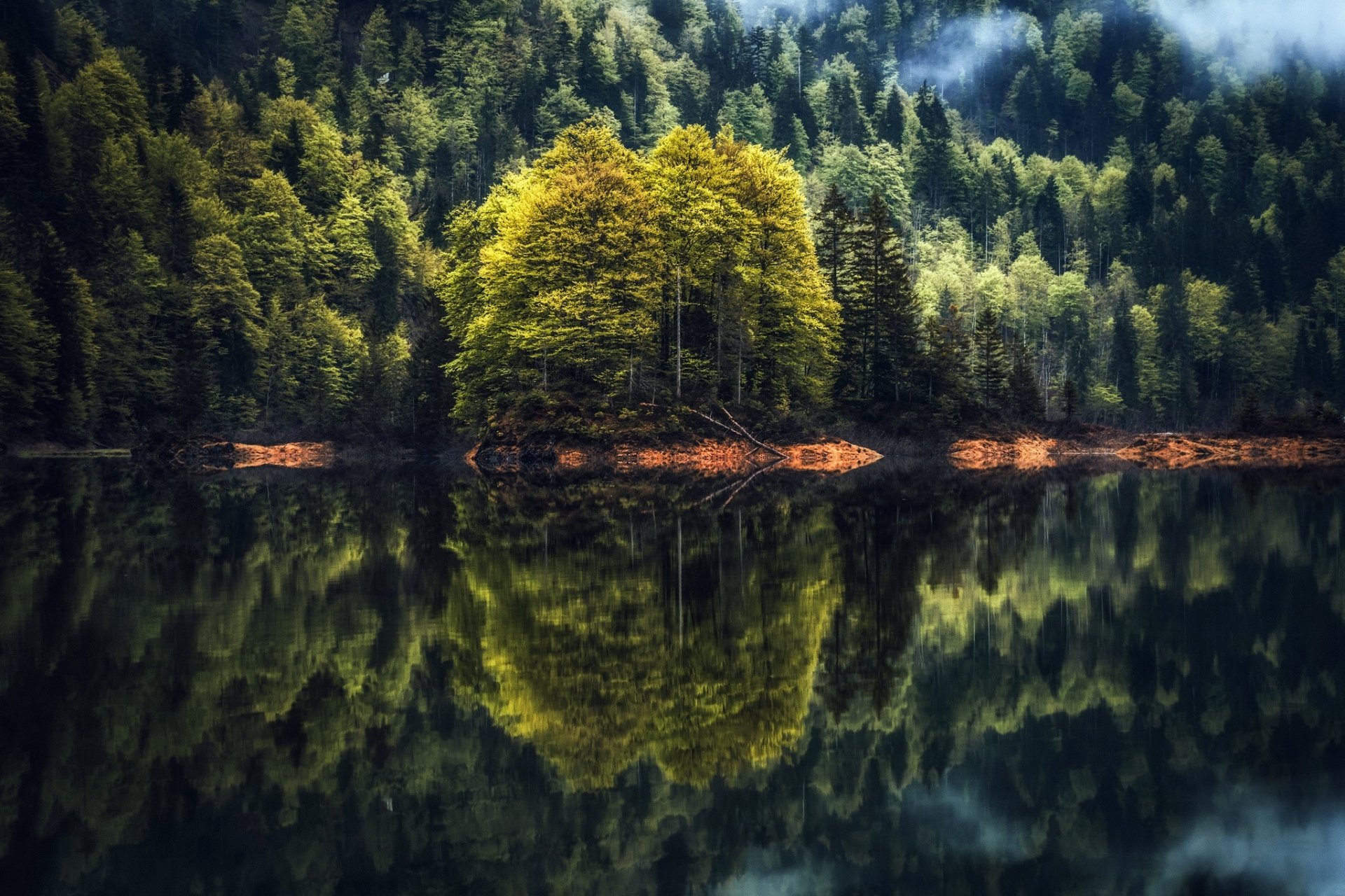 Download Forest Lake Nature Reflection HD Wallpaper