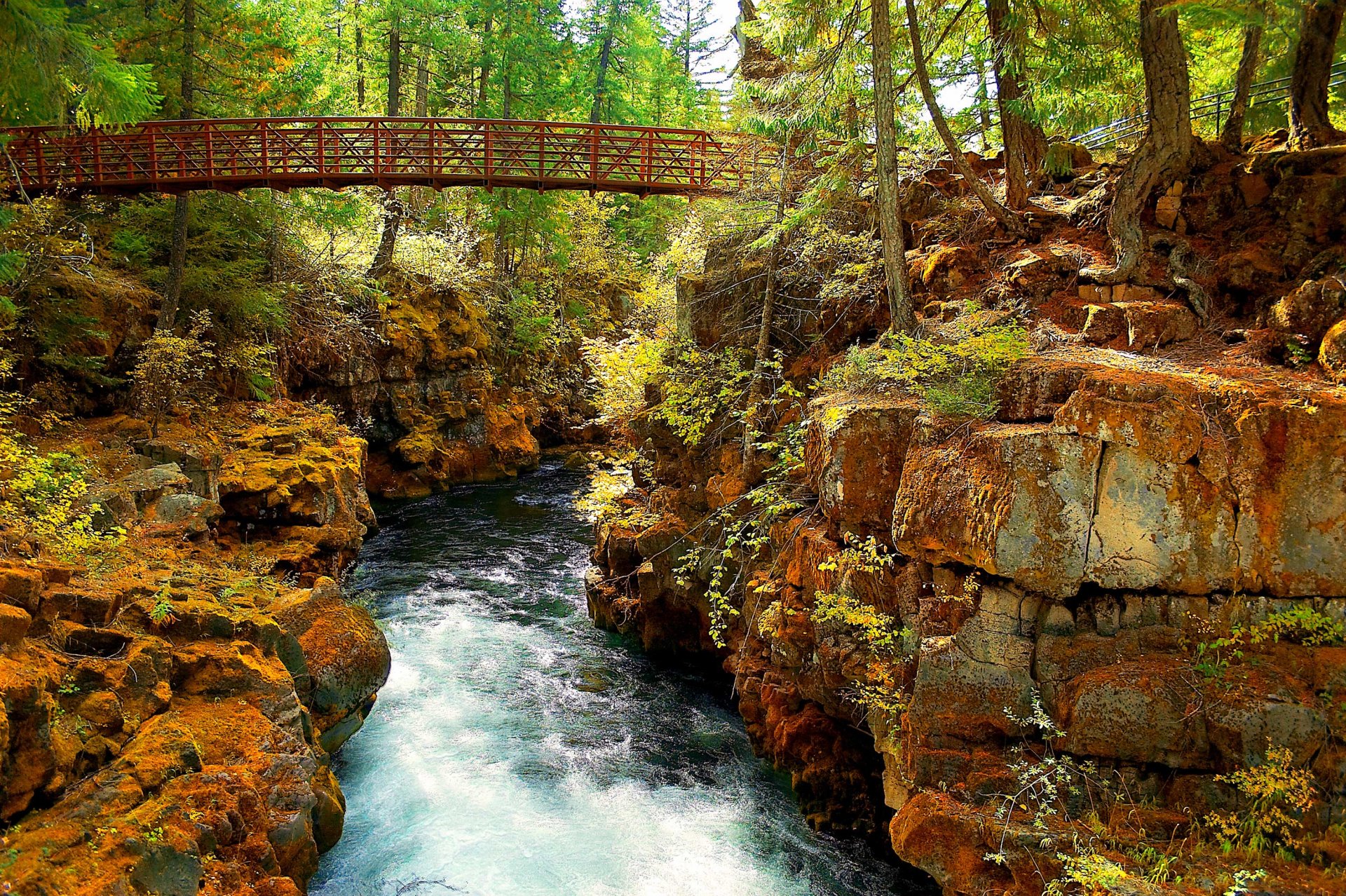 Serene Stream in Vibrant Forest – HD Nature Wallpaper | 3004x1999 ...