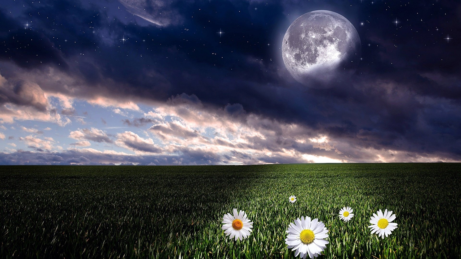 Wallpapers Moon Download Flower