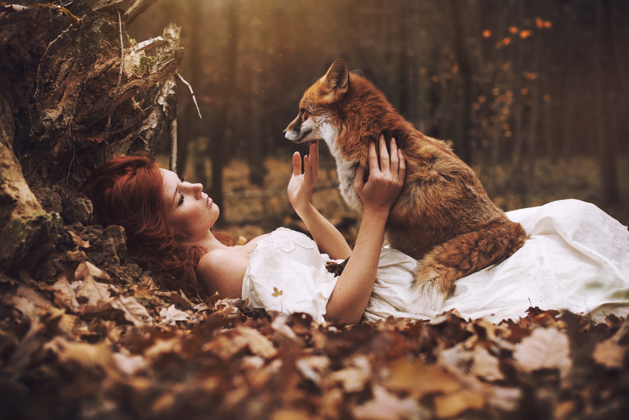 Download Redhead Lying Down Model Fox Fall Woman Mood Hd Wallpaper By