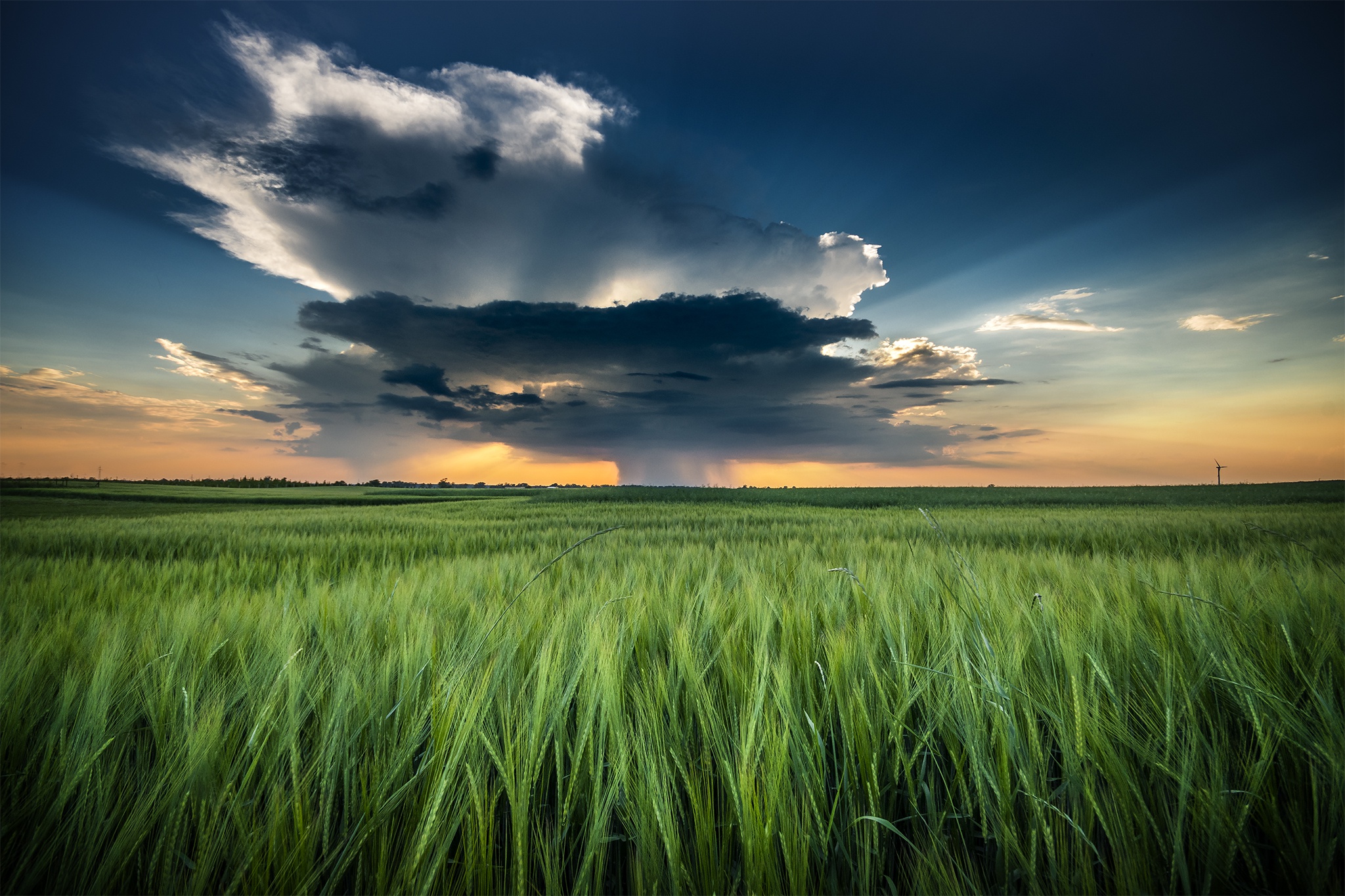 Nature Field Hd Wallpapers Landscape, Grass, Field Wallpapers HD