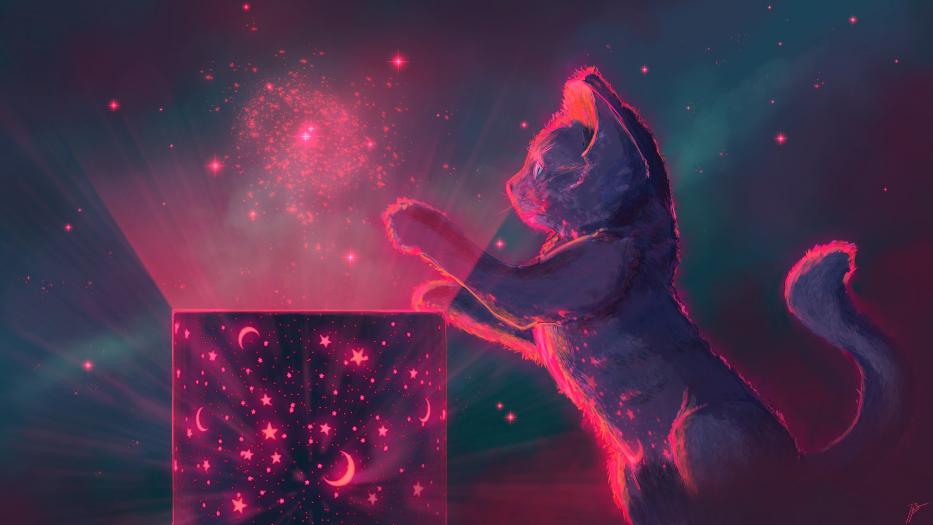 Download Kitten Fantasy Cat HD Wallpaper by Josef Bartoň