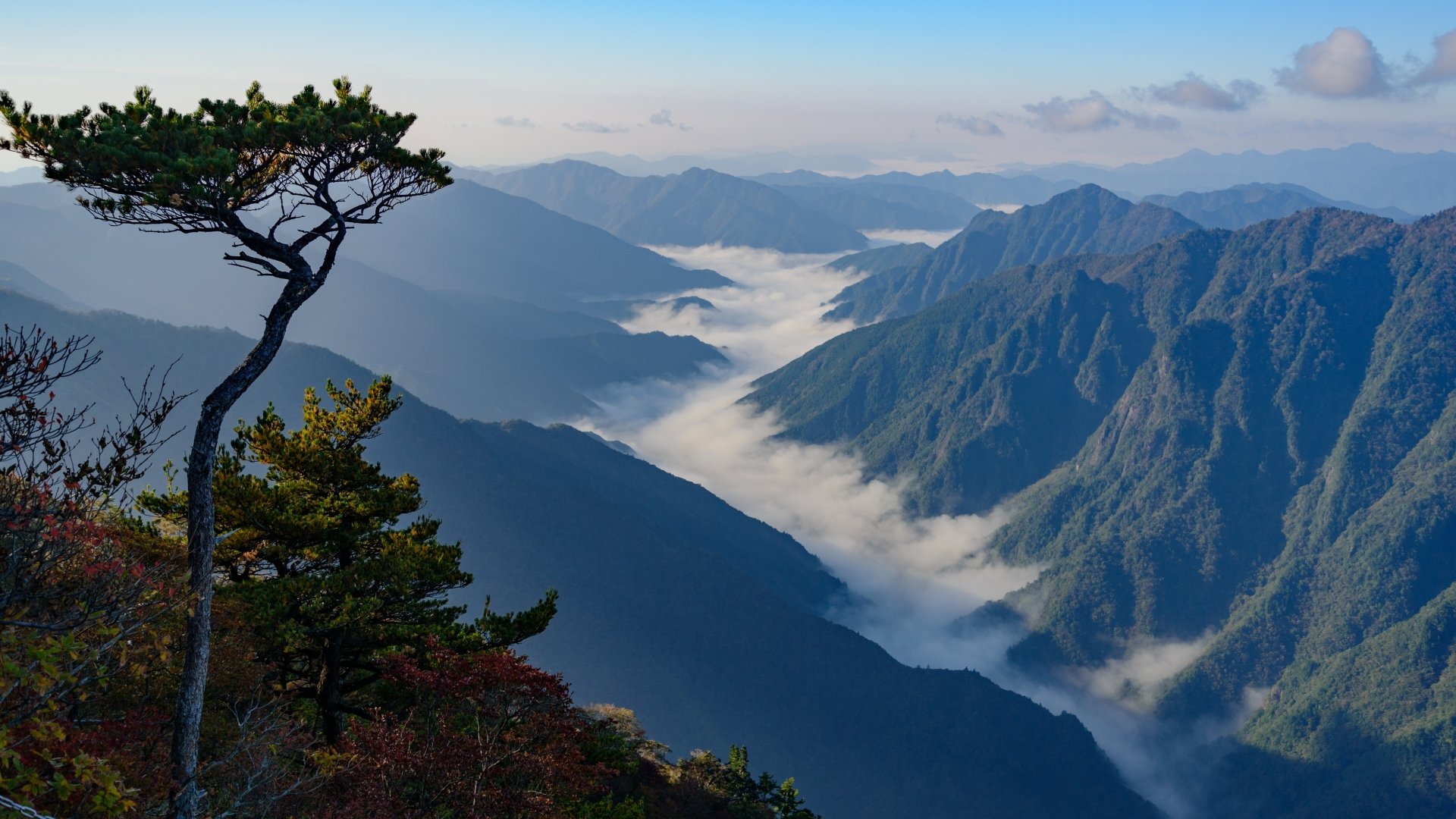 Misty Mountain Valley of Japan - 4K Ultra HD Nature Landscape Wallpaper