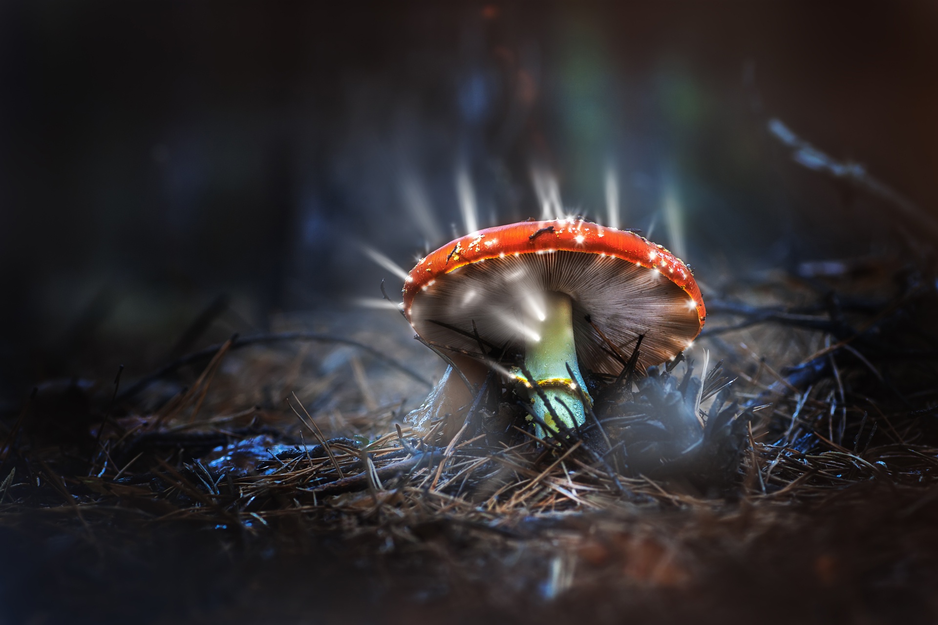 Manipulation HD Wallpaper