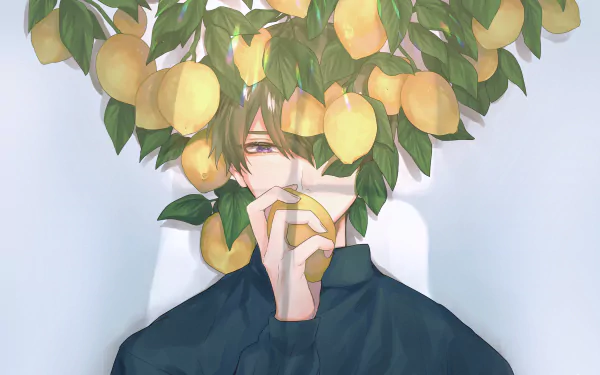 [130+] Lemon 4k Wallpapers