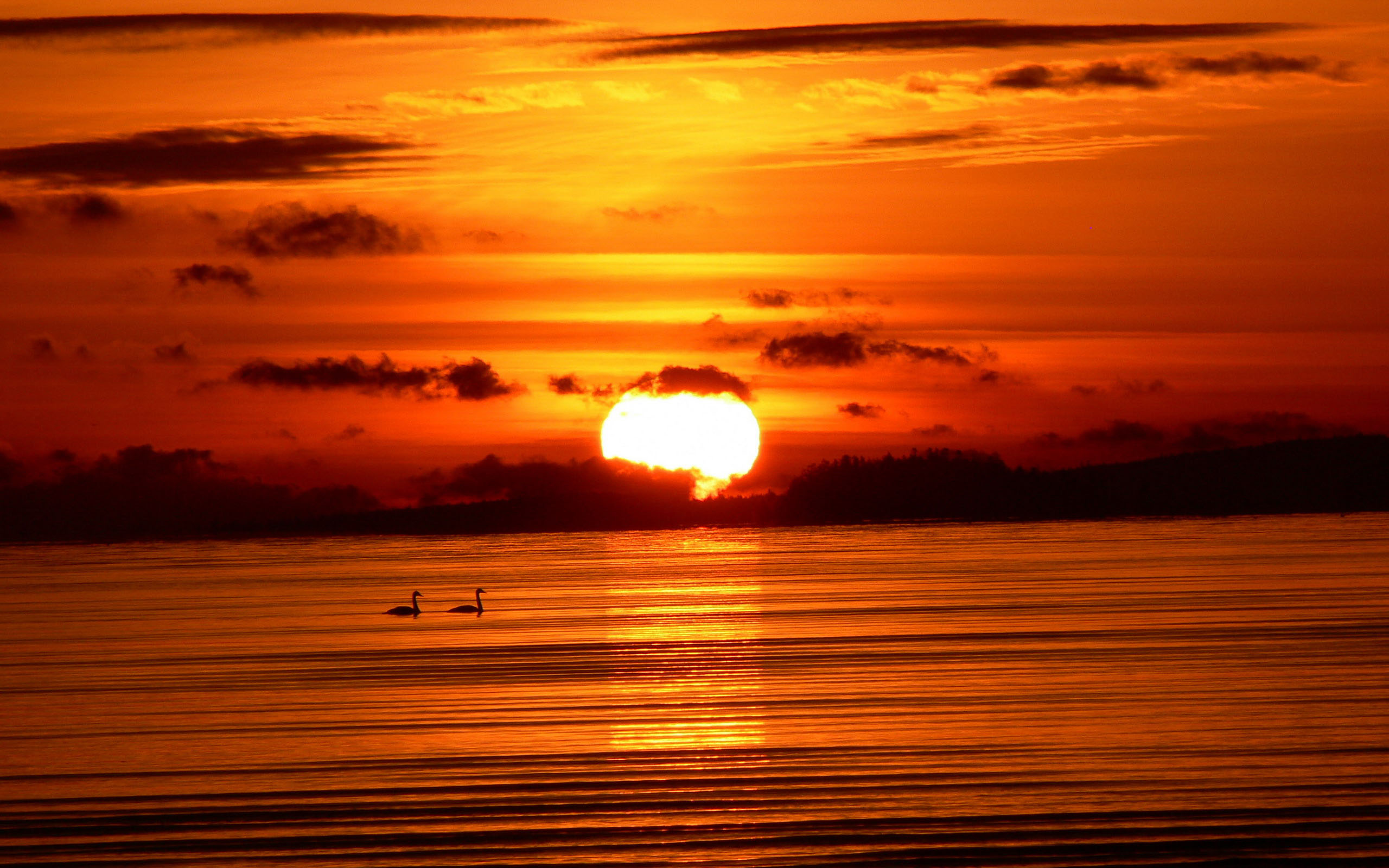 Download Nature Sunset HD Wallpaper