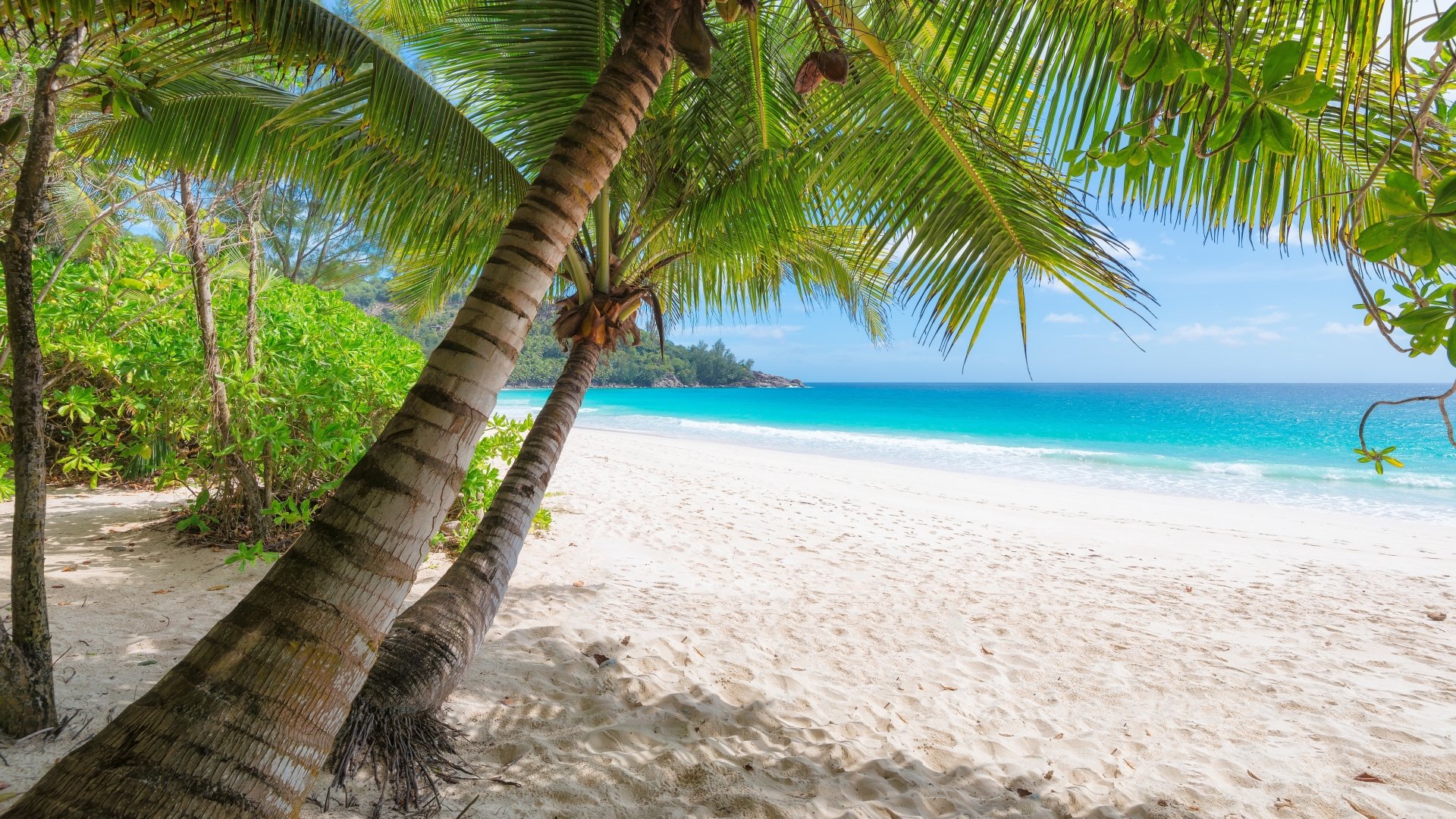8K Ultra HD Tropical Beach Escape — Pristine Nature Wallpaper