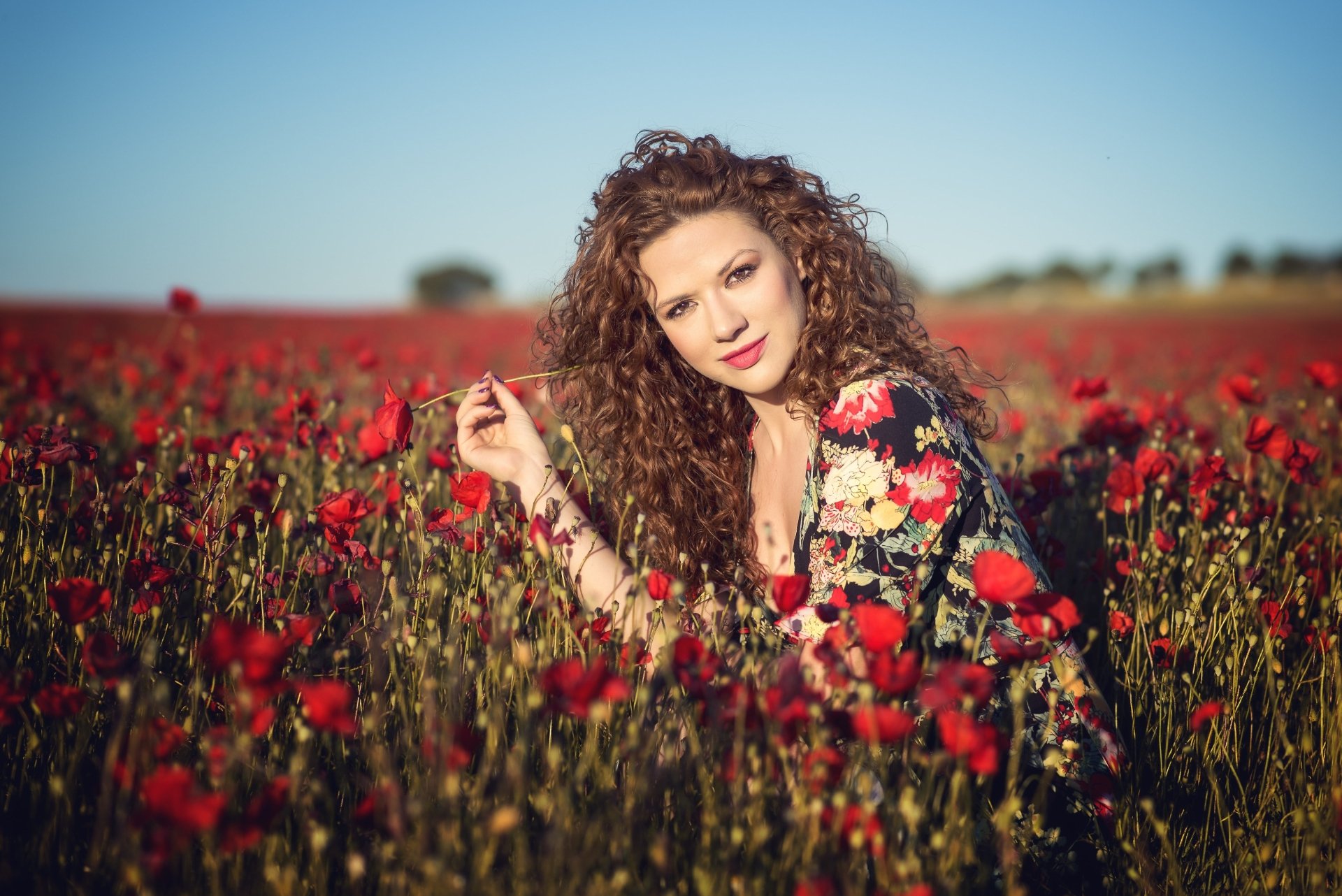 Download Depth Of Field Lipstick Red Flower Summer Poppy Brunette Woman ...