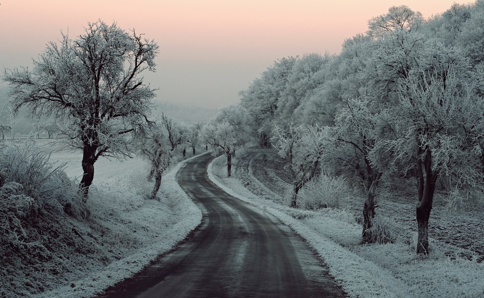 Winter Forest Road - 4K Ultra HD Wallpaper