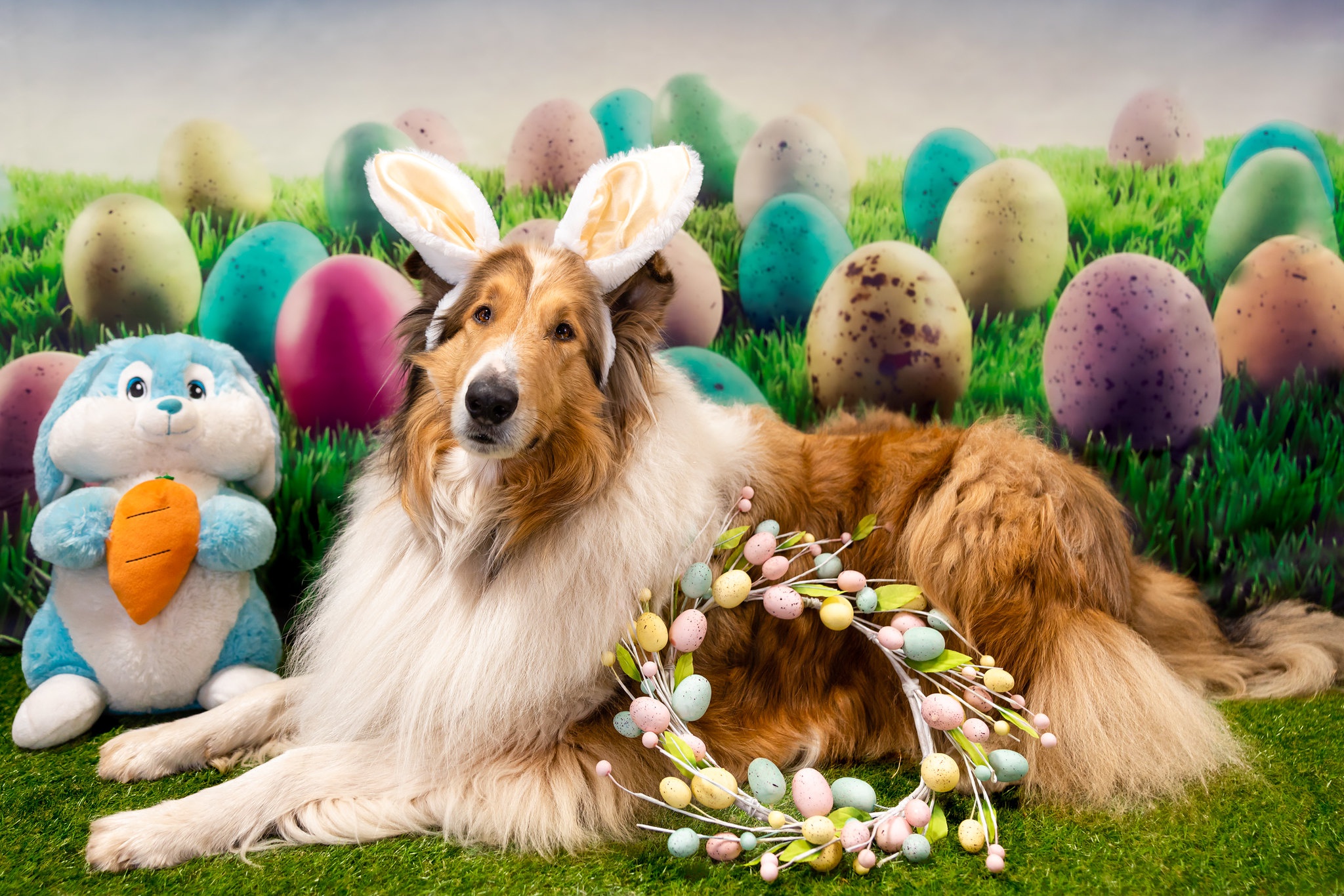 Download Dog Stuffed Animal Wreath Easter Animal Shetland Sheepdog HD ...