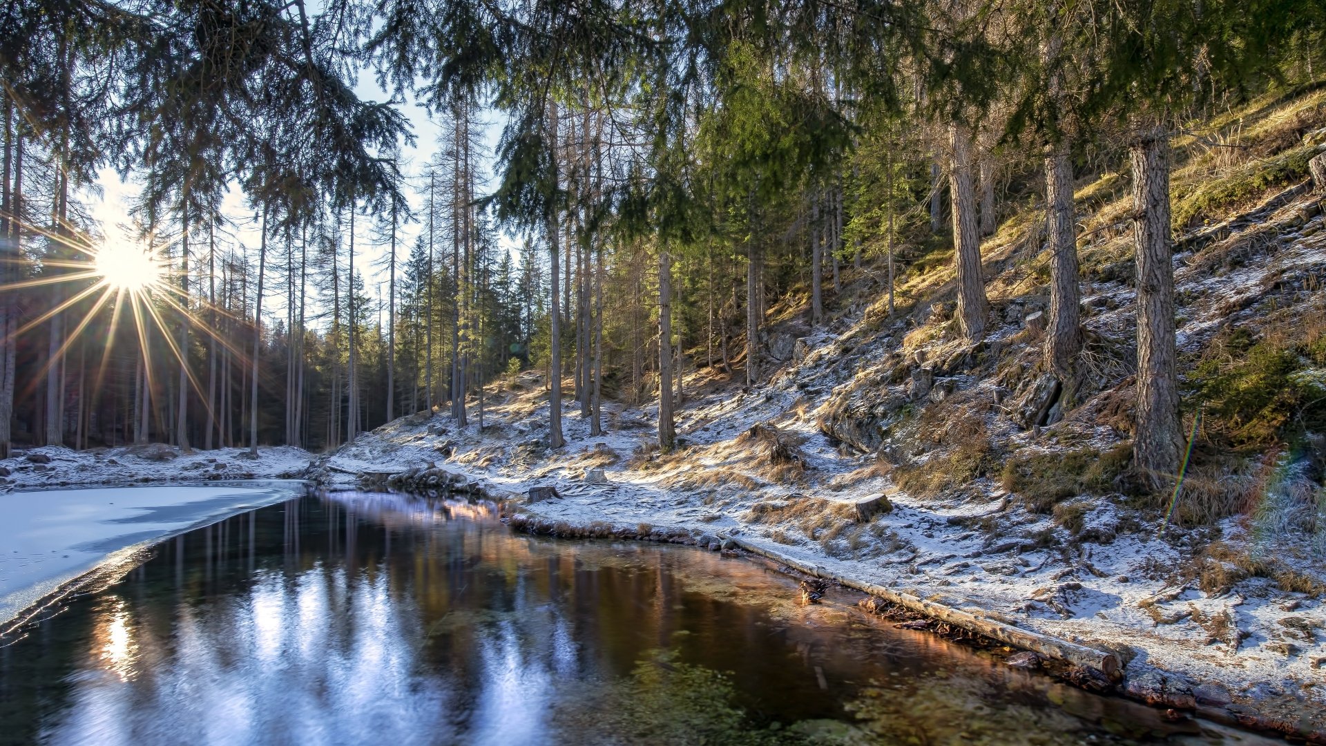 Sunlit River Serenity: 4K Ultra HD Nature Escape | 3840x2160 ...