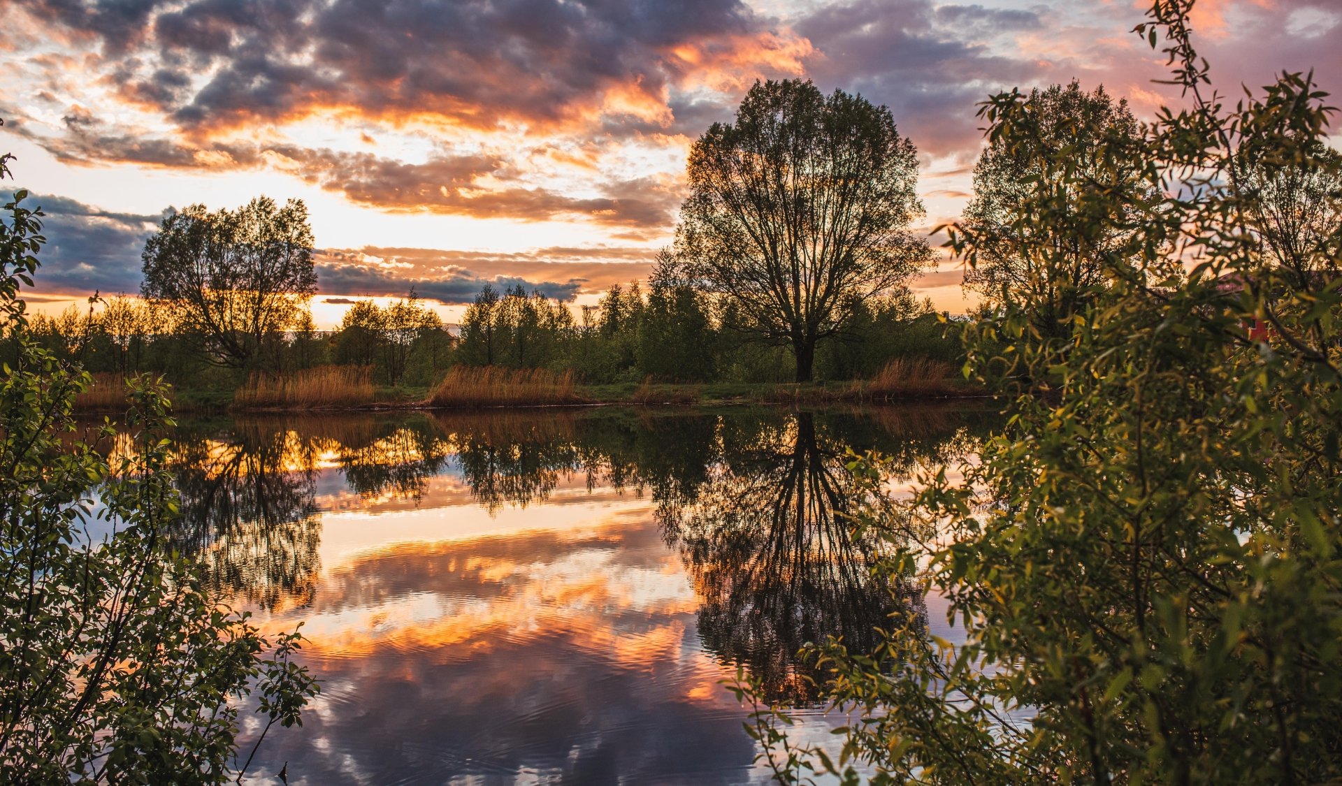 Download Pond Sunset Landscape Tree Nature Reflection 4k Ultra HD ...