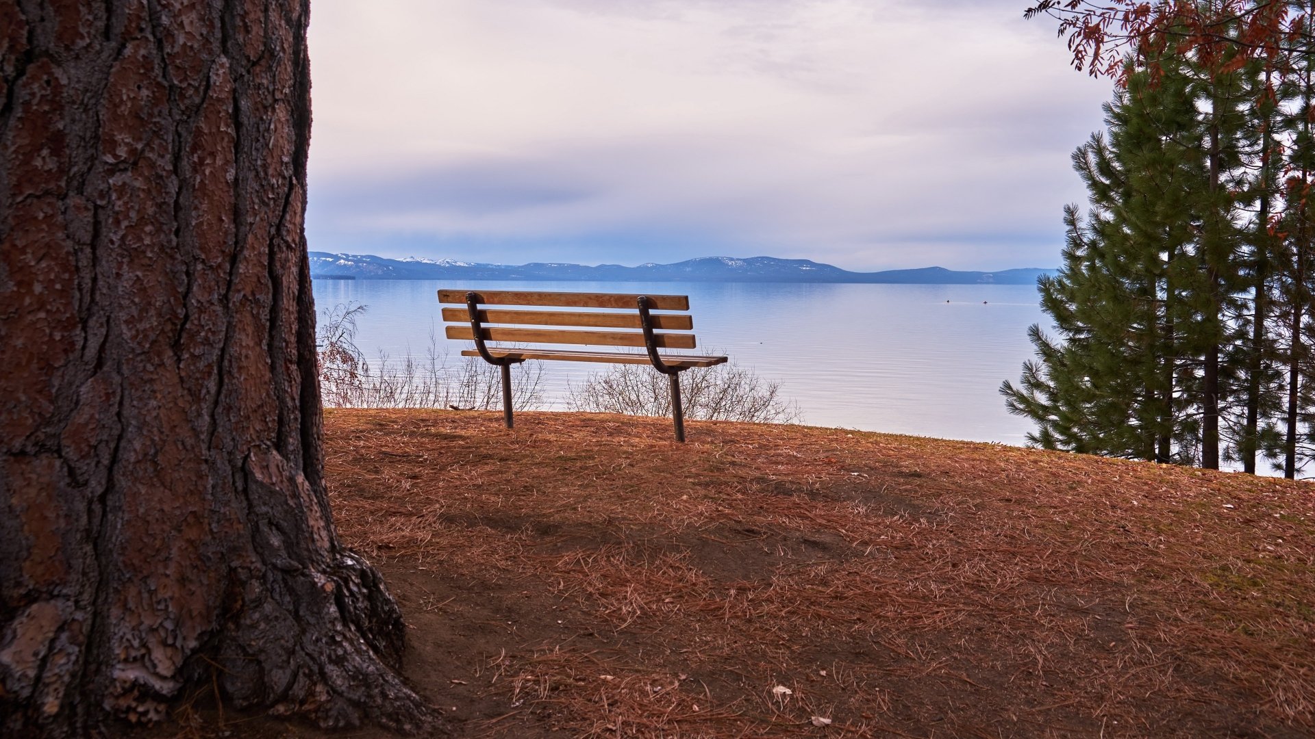Download Lake Man Made Bench 4k Ultra HD Wallpaper