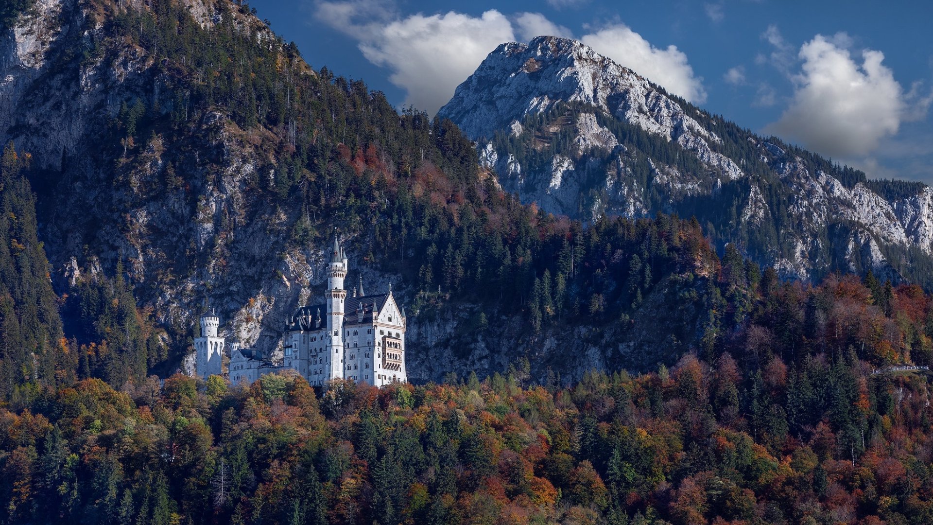 Download Bavaria Germany Castle Mountain Forest Fall Man Made ...