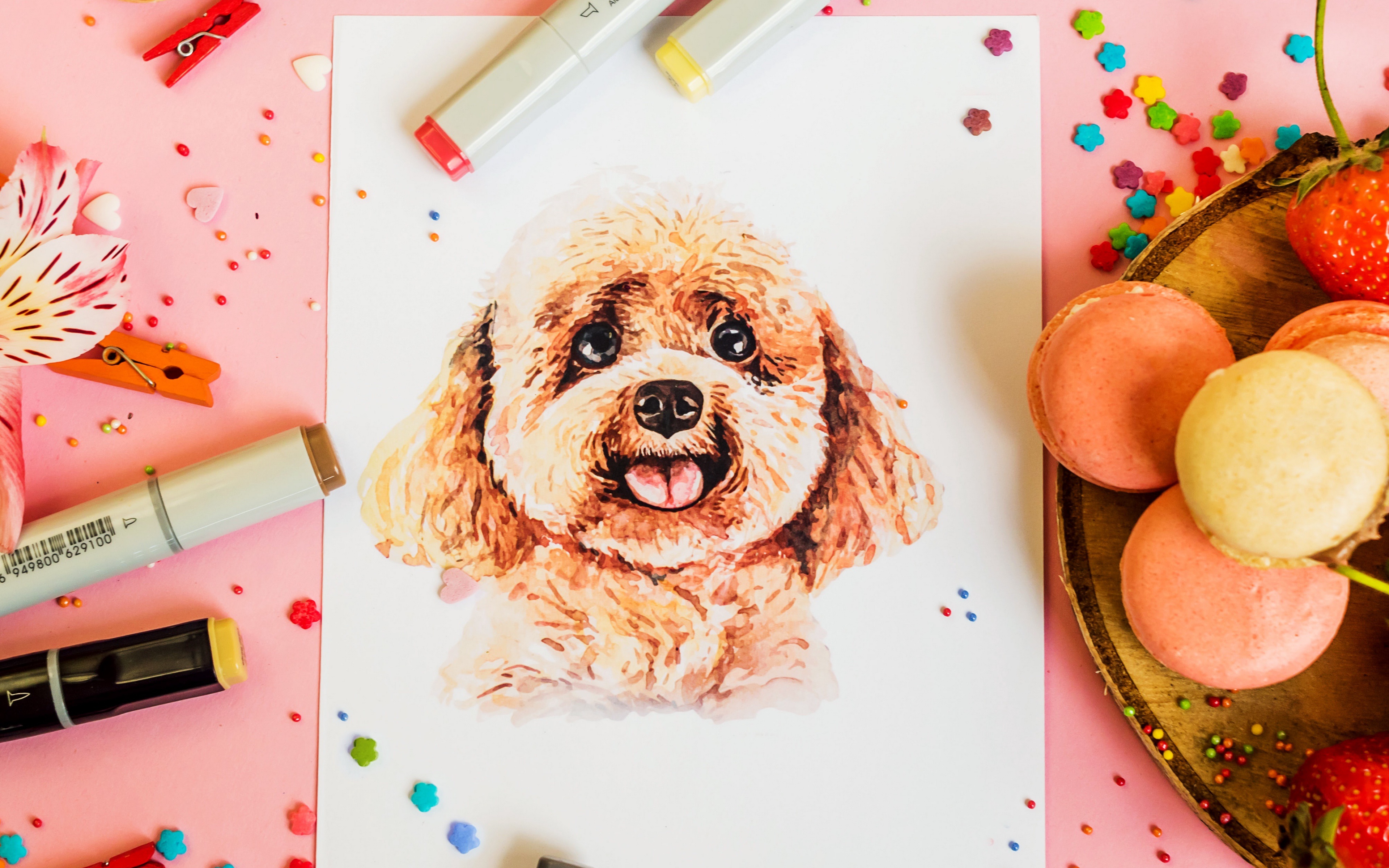 Download Marker Macaron Dog Drawing Photography Still Life 4k Ultra HD ...