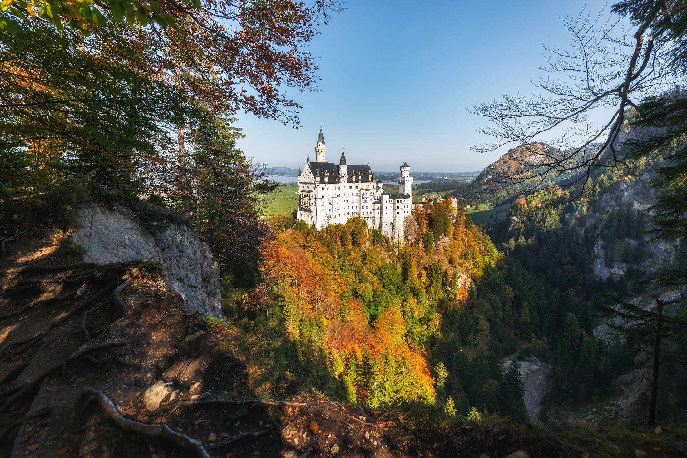 Fall Neuschwanstein Castle Wallpapers