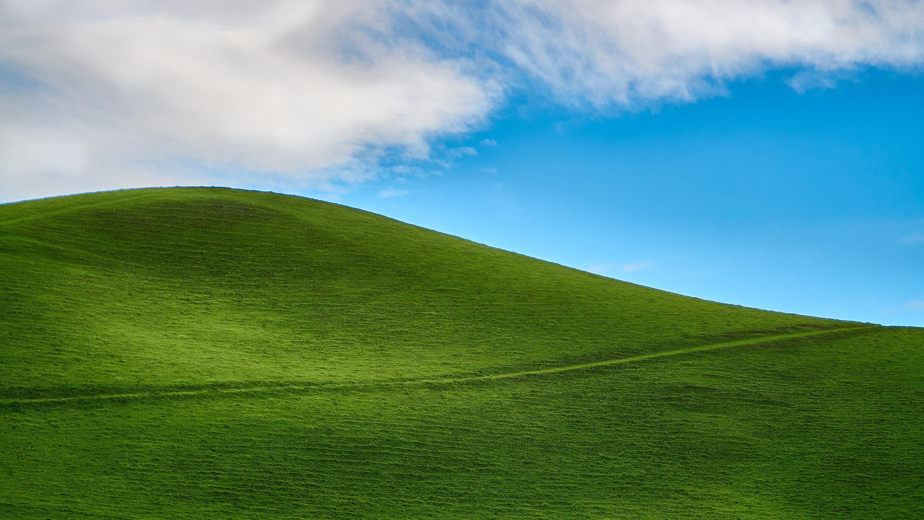 Grass Hill Background Green Hills With Forest Under Cloudy Sky During