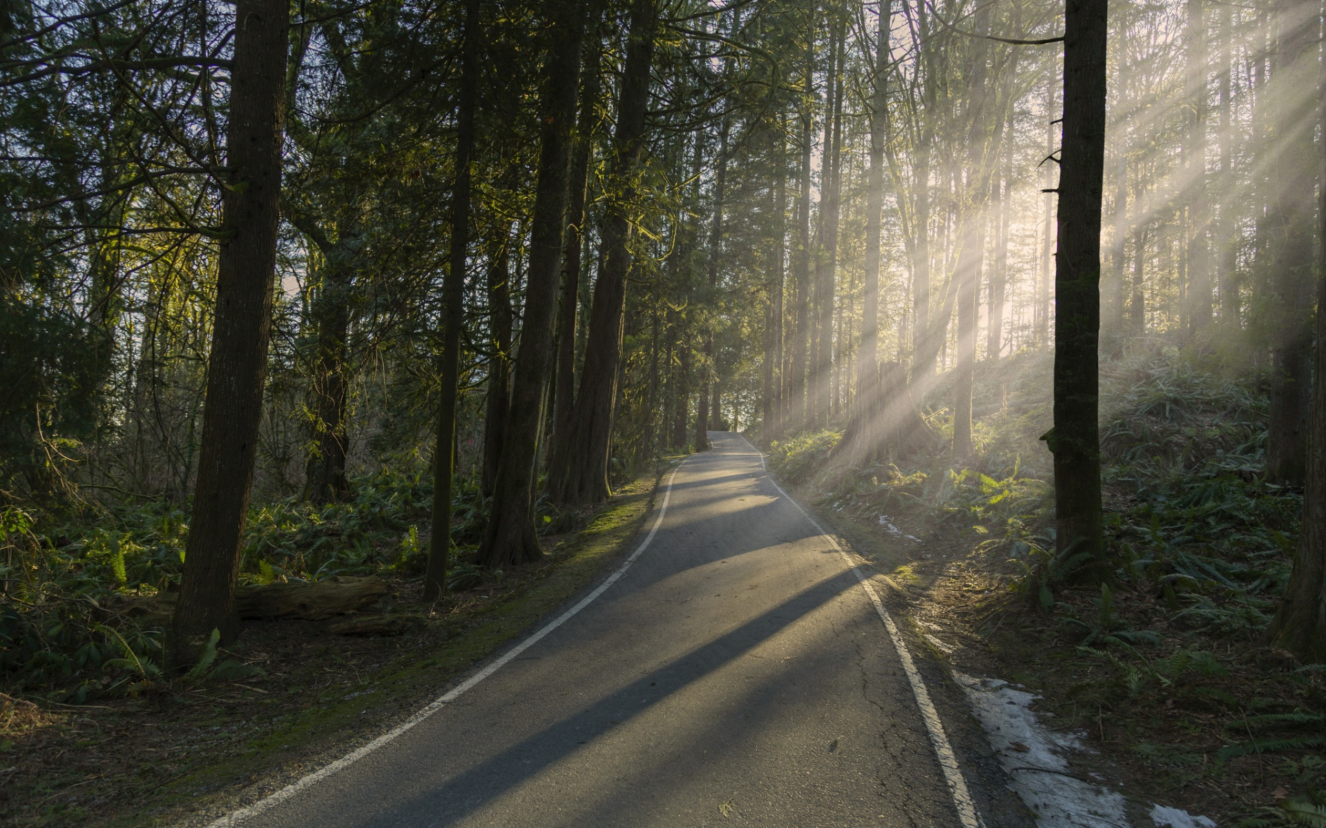 Download Man Made Road HD Wallpaper