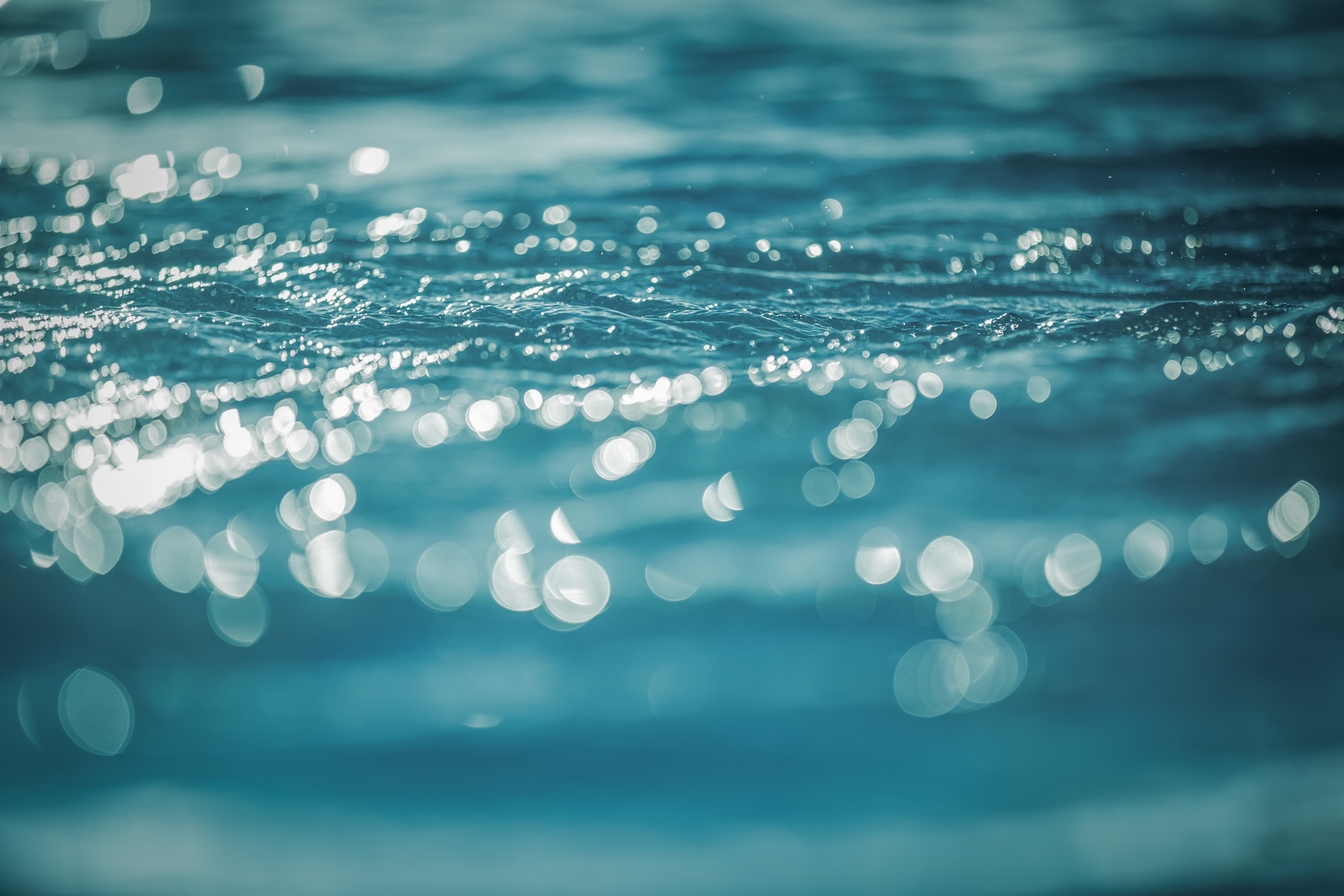 Download Close-up Nature Water HD Wallpaper