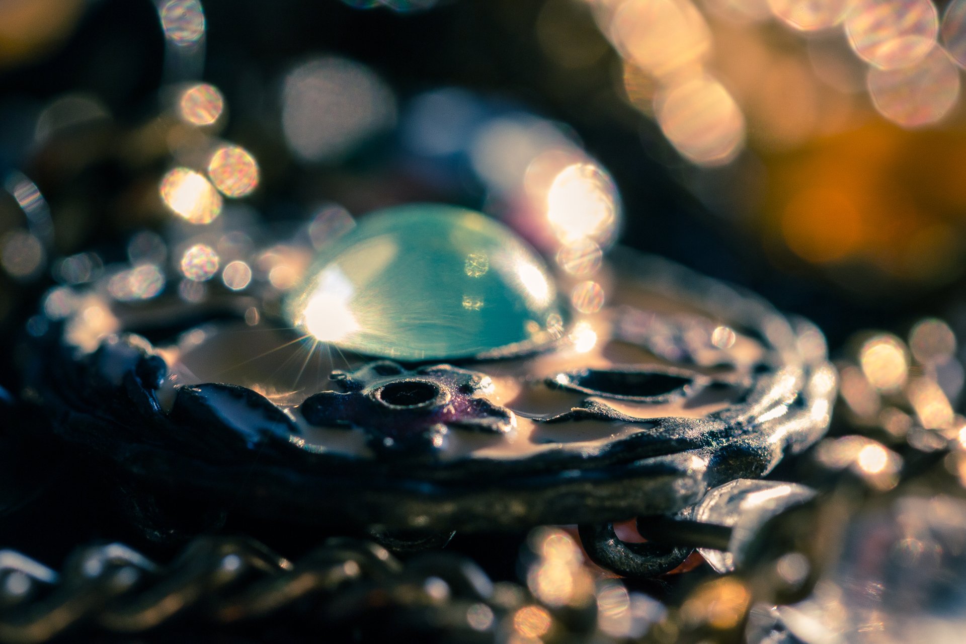 Photography Macro 4k Ultra HD Wallpaper by Aki Shi