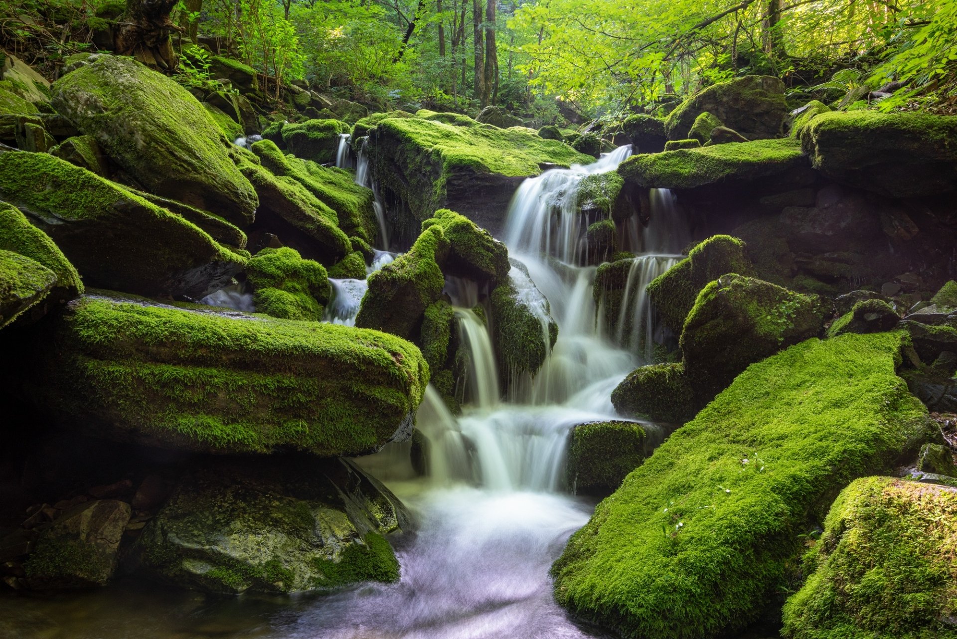 Moss-Covered Korean Waterfall — HD Stone & Nature Wallpaper