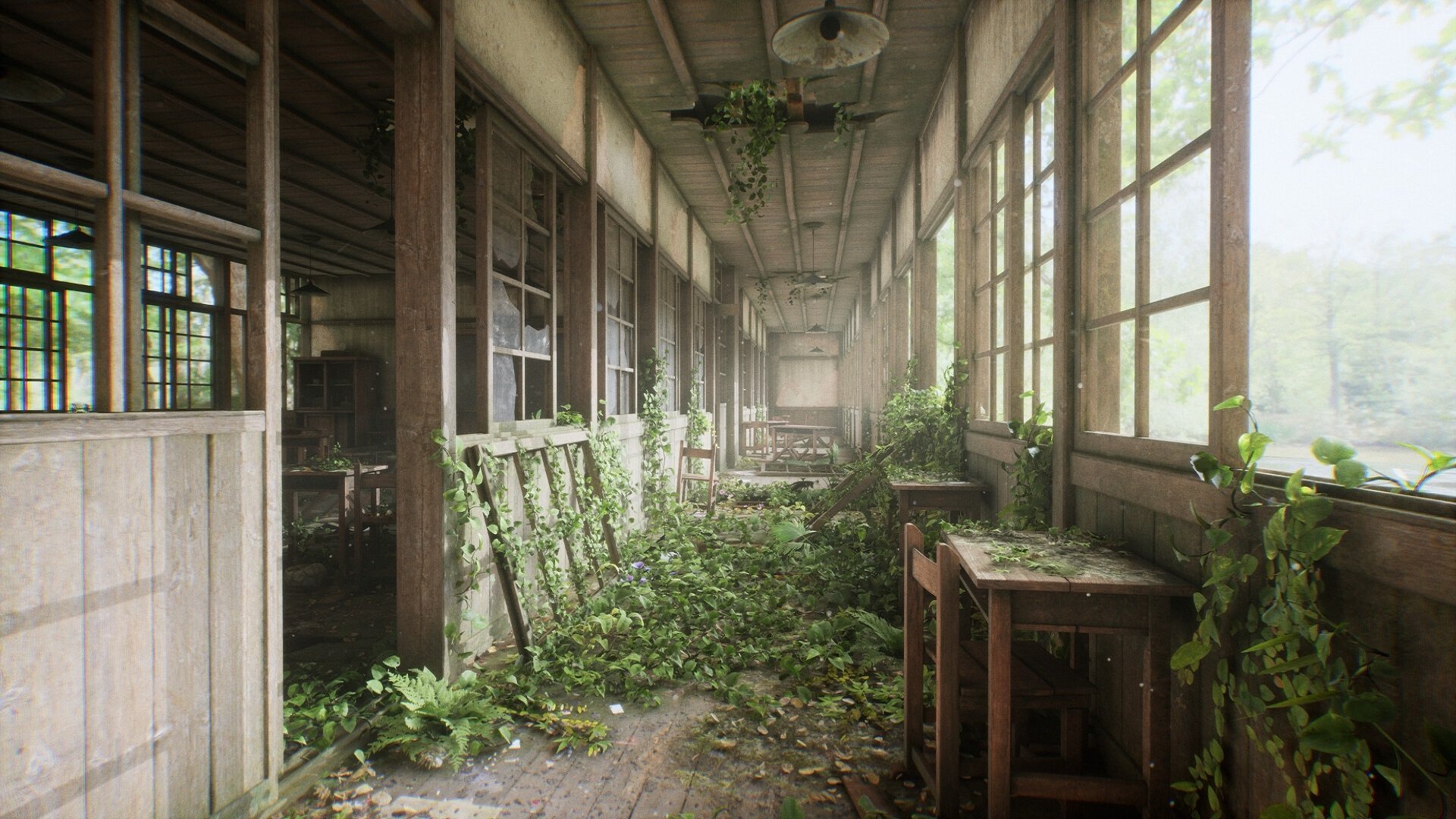 Nature Reclaims: Abandoned School Ruins HD Wallpaper
