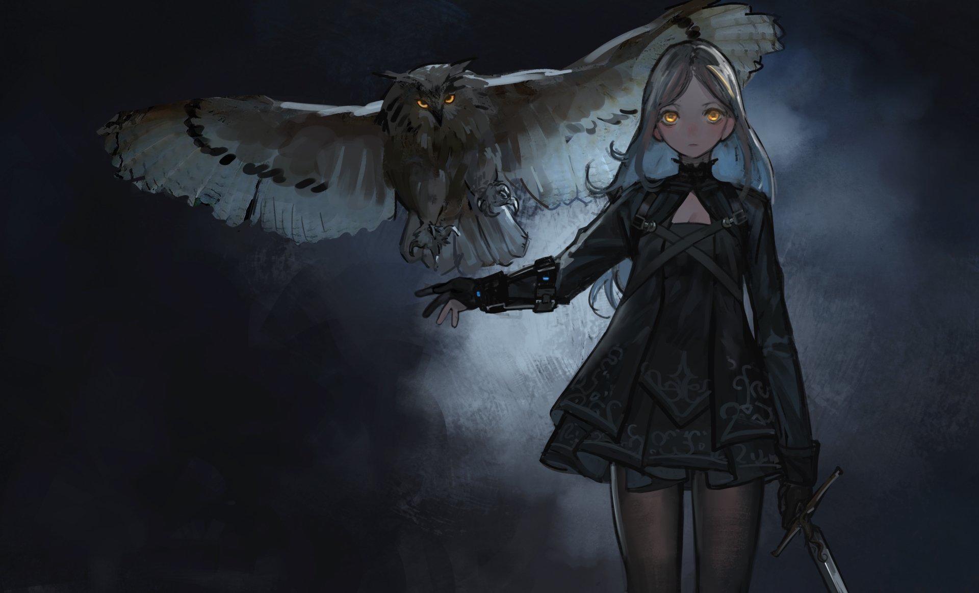 Midnight Owl — Original Anime 4K Ultra HD Wallpaper by 海藻先生 | 4090x2480 ...