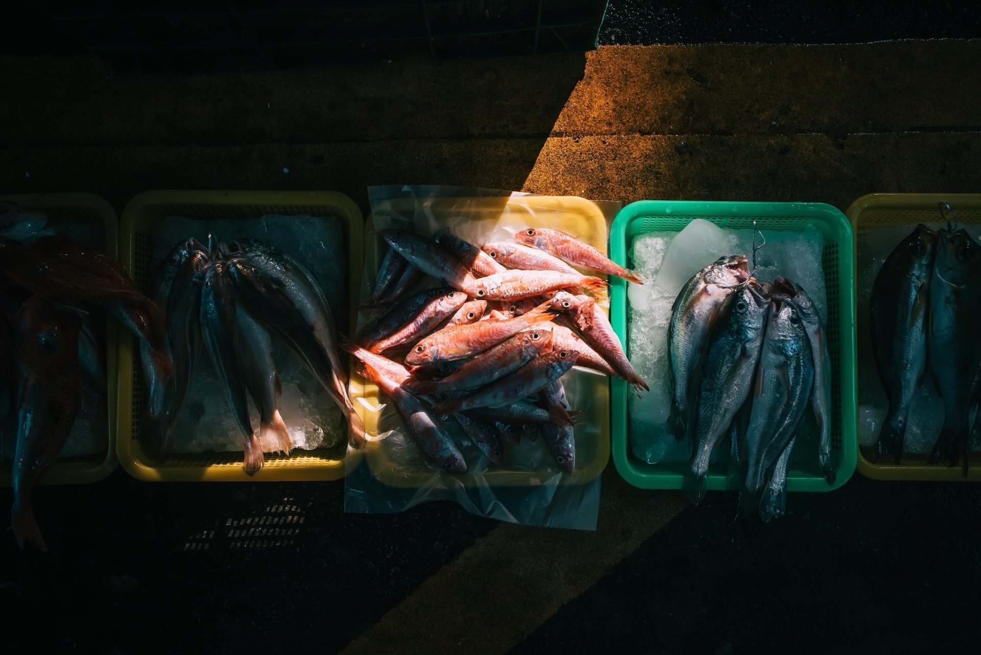 Download Seafood Food Fish HD Wallpaper