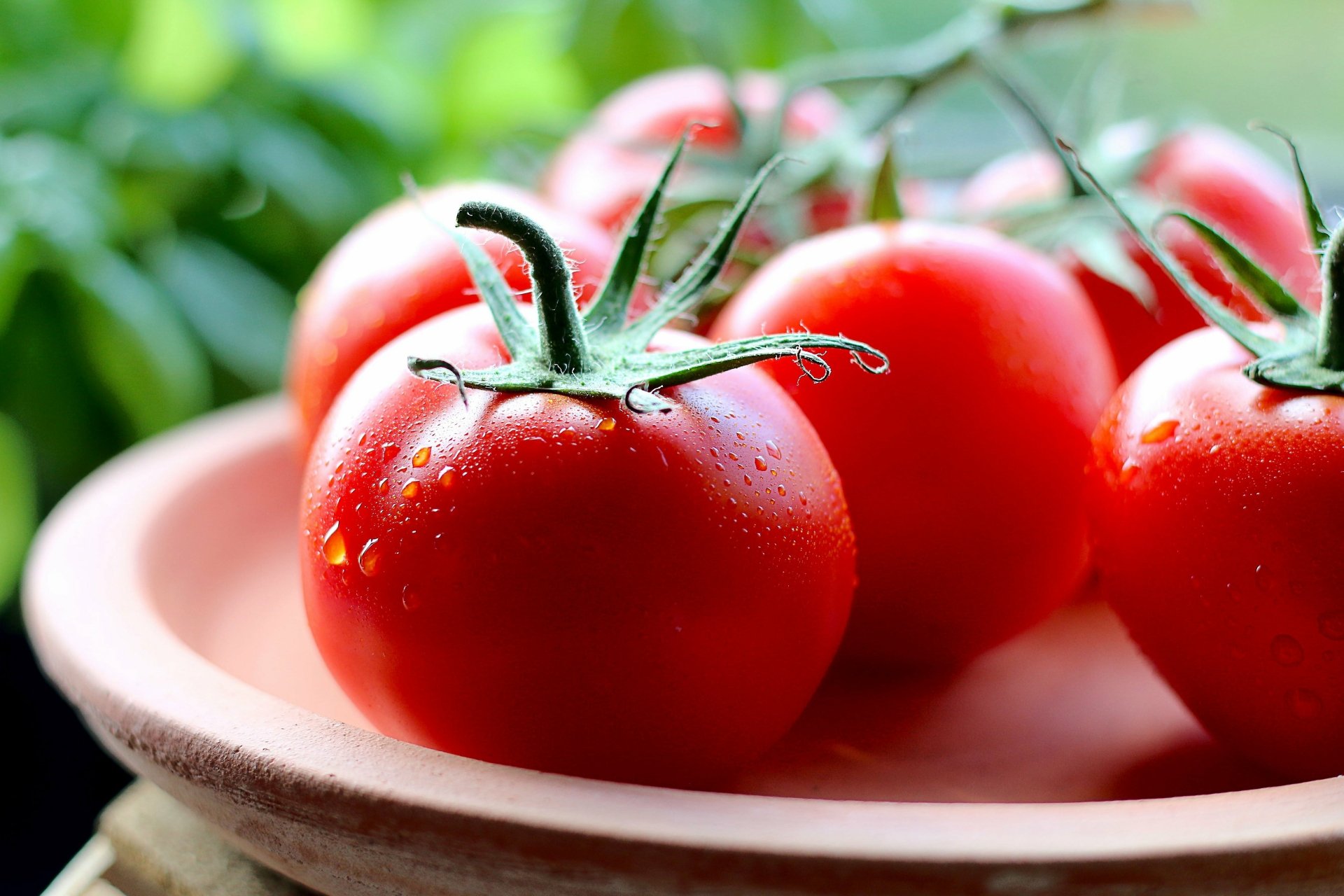 Download Food Tomato 4k Ultra HD Wallpaper by Sheila Pedraza Burk