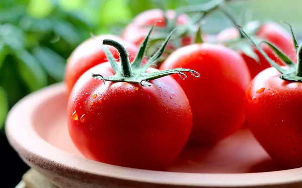 [370+] Tomato 4k Wallpapers