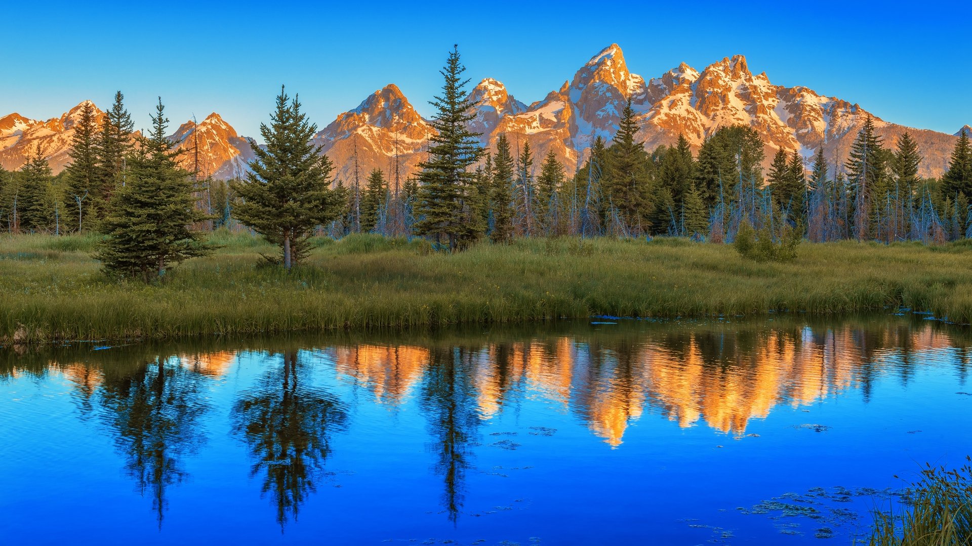 Download Reflection Lake Nature Mountain USA Grand Teton National Park ...