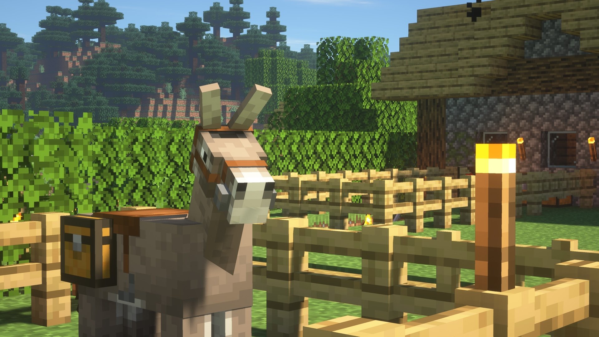 Donkey by Empty_Mirror