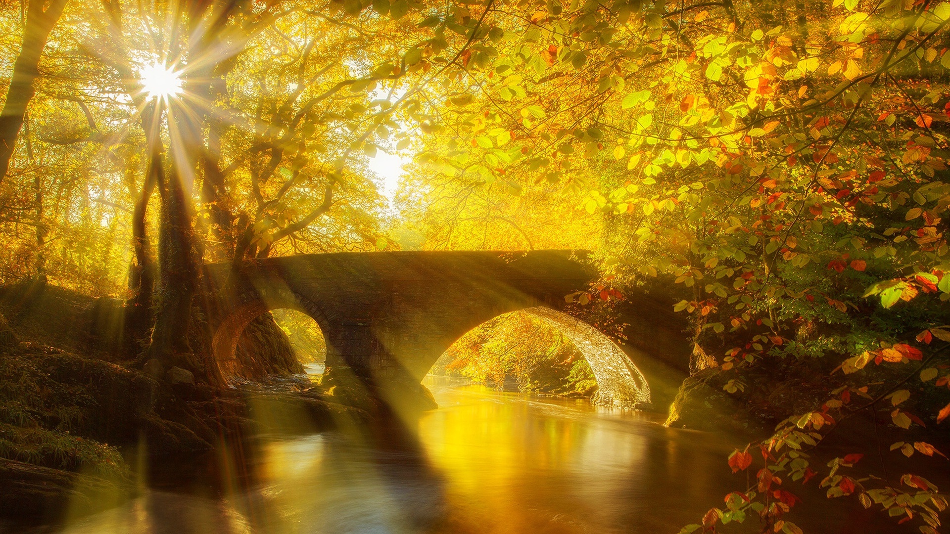 Download Sunbeam River Fall Man Made Bridge HD Wallpaper
