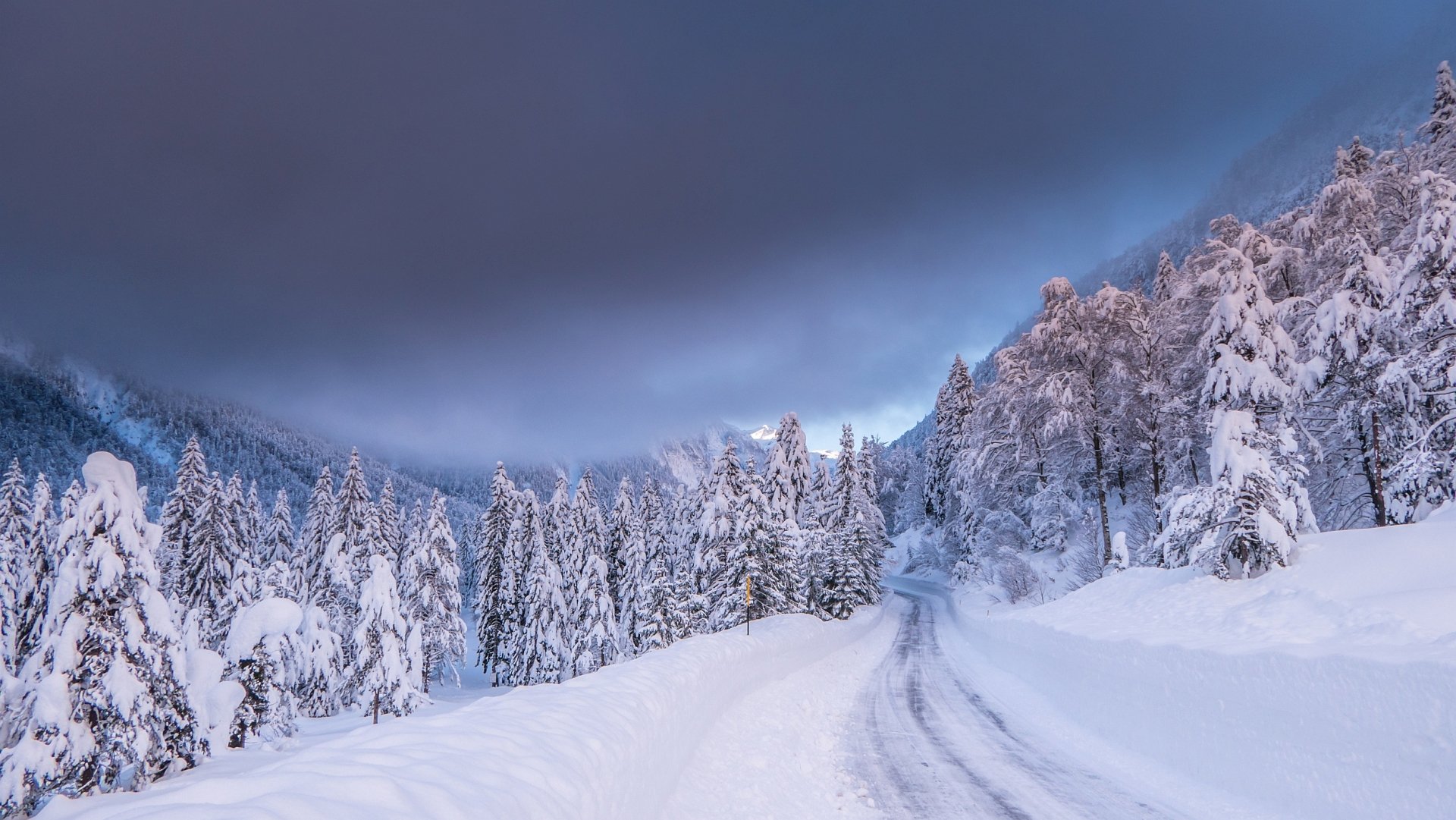Download Nature Italy Snow Forest Road Winter HD Wallpaper | 2500x1407 ...