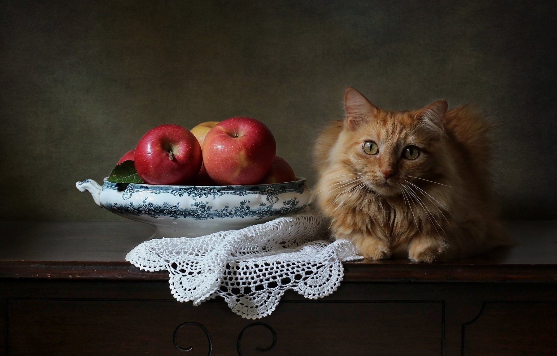 Elegant Cat and Apples HD Wallpaper: A Charming Still Life Blend ...