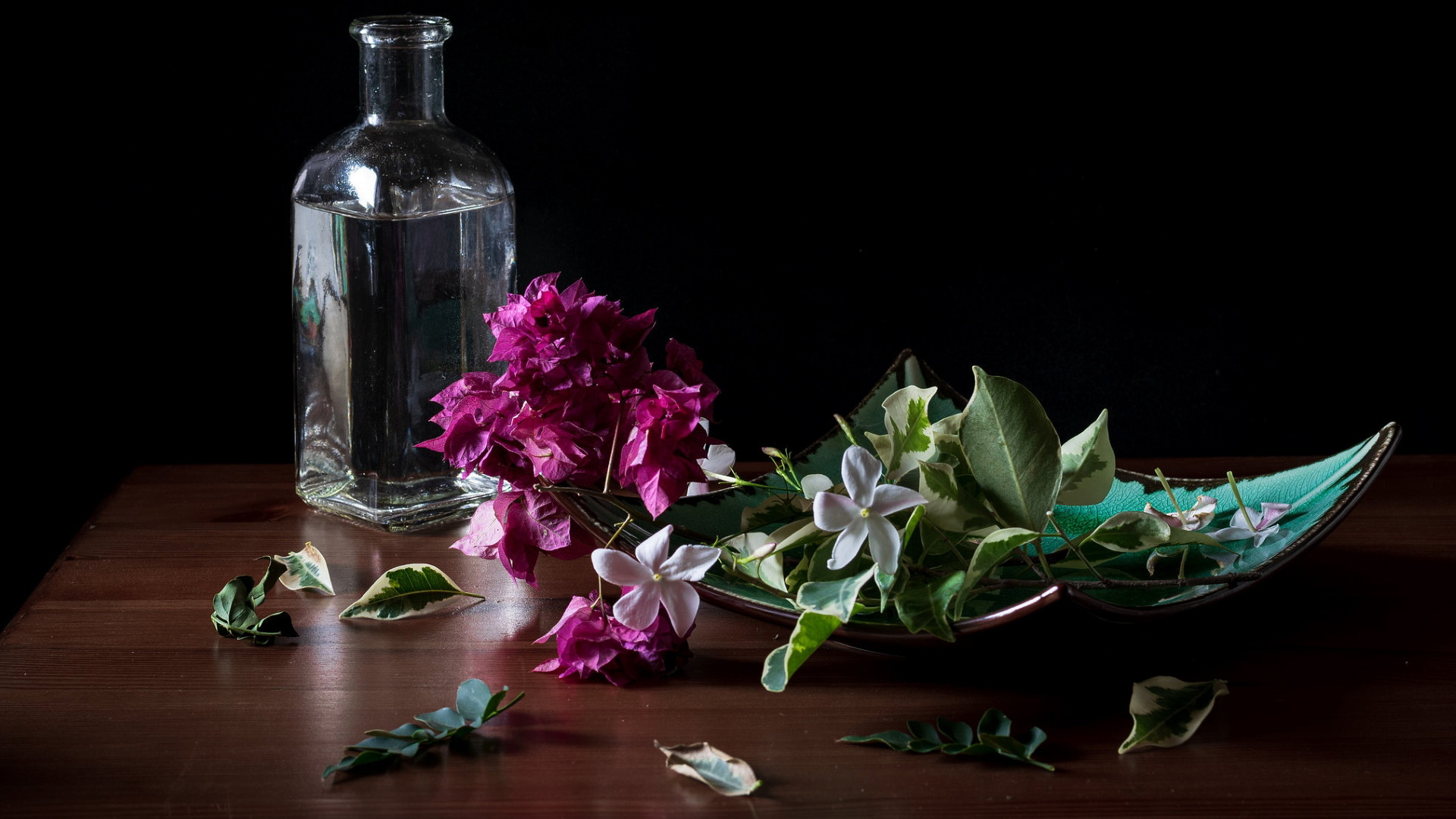 Download Photography Still Life HD Wallpaper