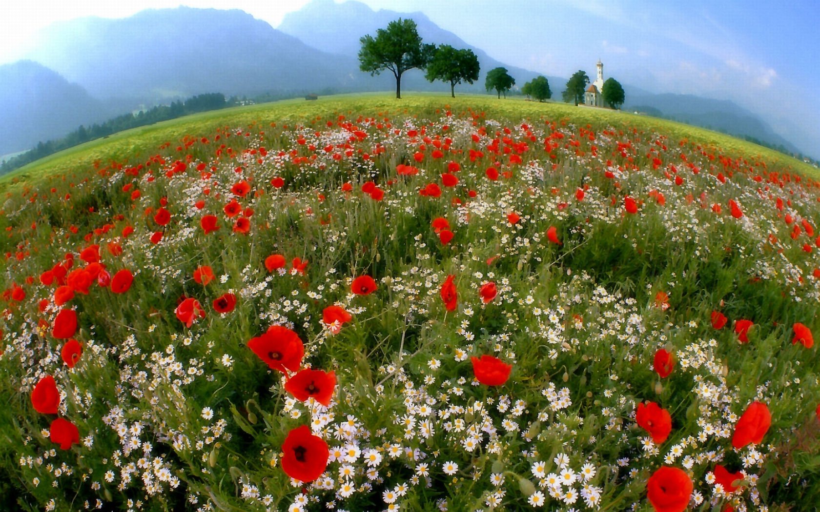 Artistic Floral Landscape HD Wallpaper