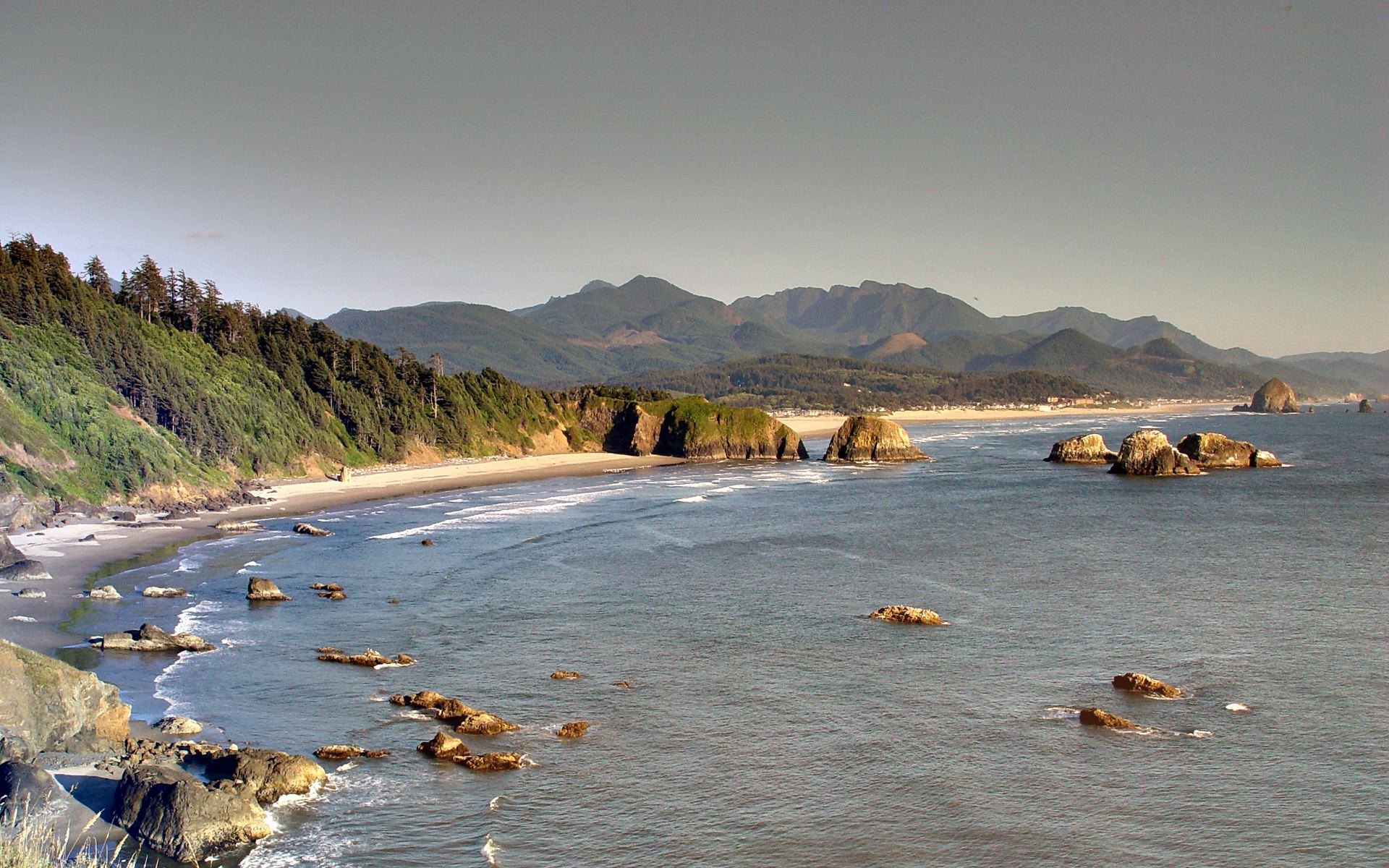 Stunning HD Wallpaper of Forest-Encased Mountains and Ocean Beach