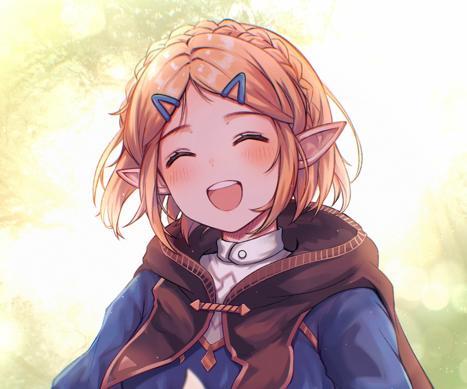 Princess Zelda Smiles Bright - Breath of the Wild HD Wallpaper