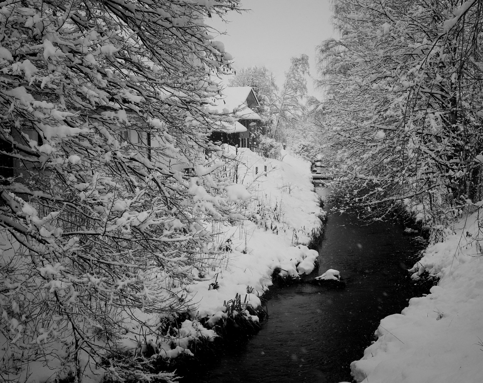Winter Serenity: Snow-Covered River Scene in Germany | 4K Ultra HD ...