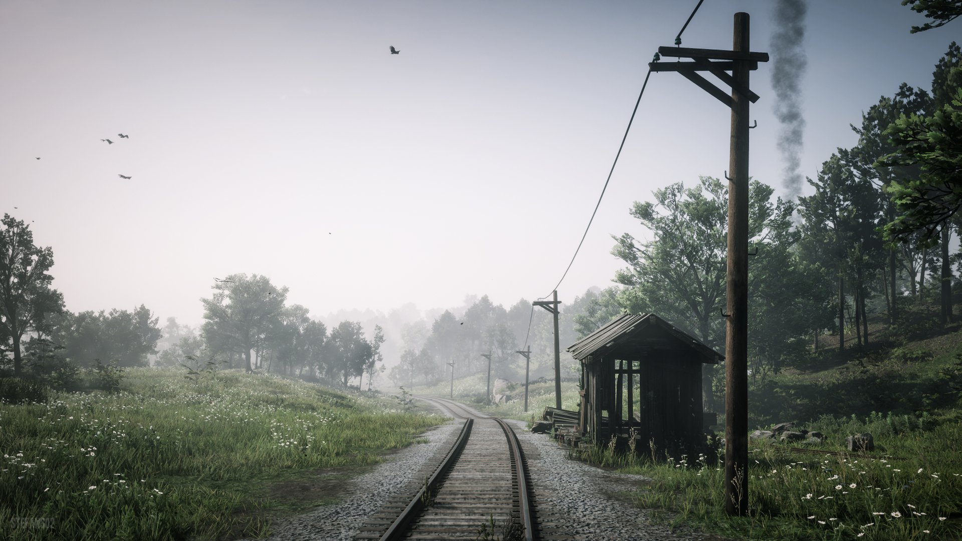 Red Dead Redemption 2 / Abandoned by StefanS02