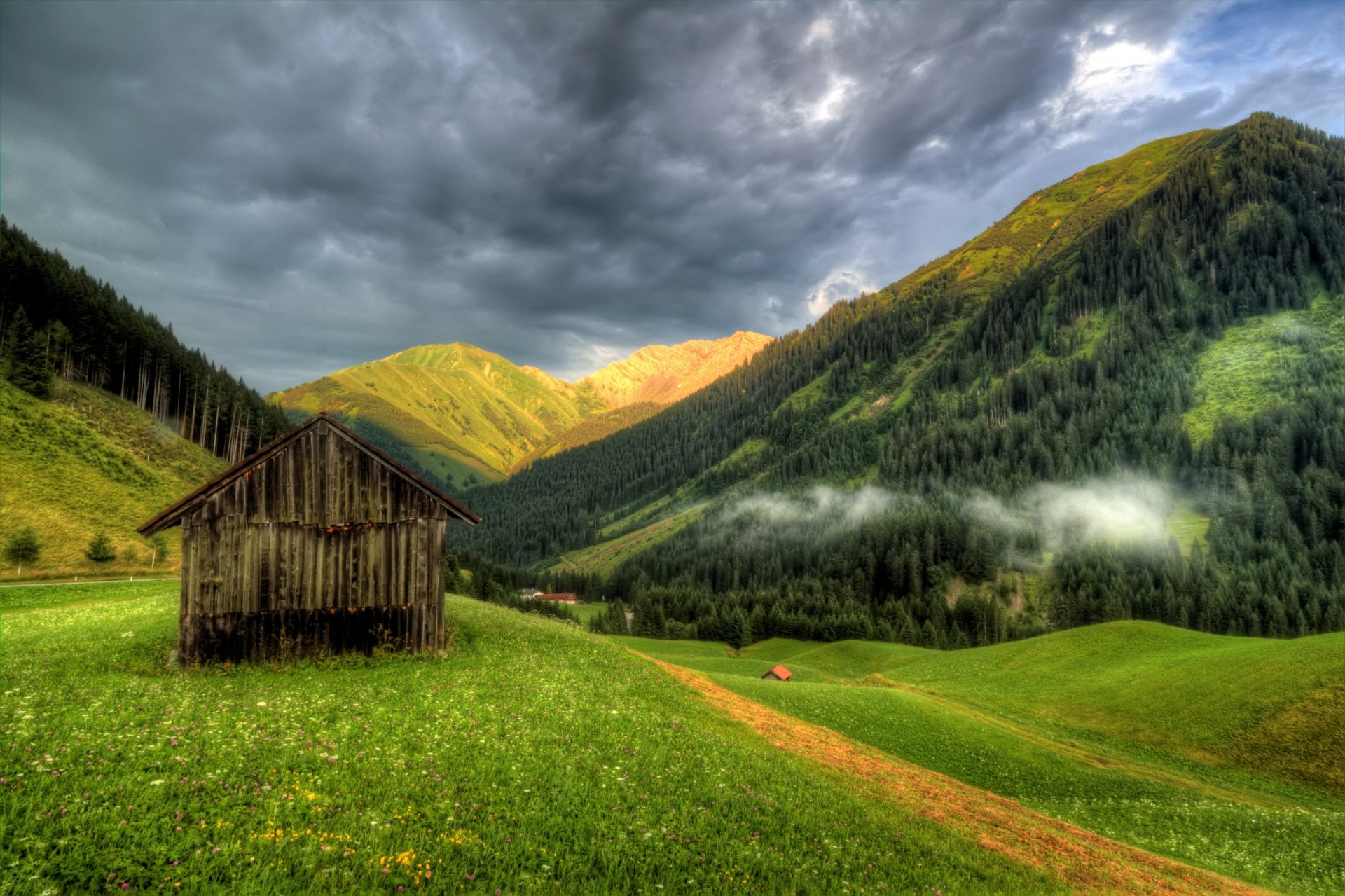 Download Nature Field HD Wallpaper | 3055x2035 | Wallpaper Abyss