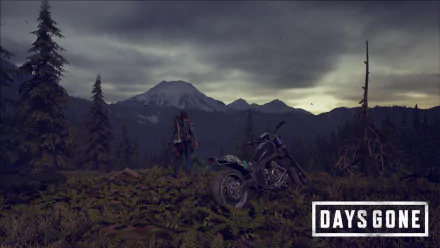 Days Gone - Desktop Wallpapers, Phone Wallpaper, PFP, Gifs, and More!