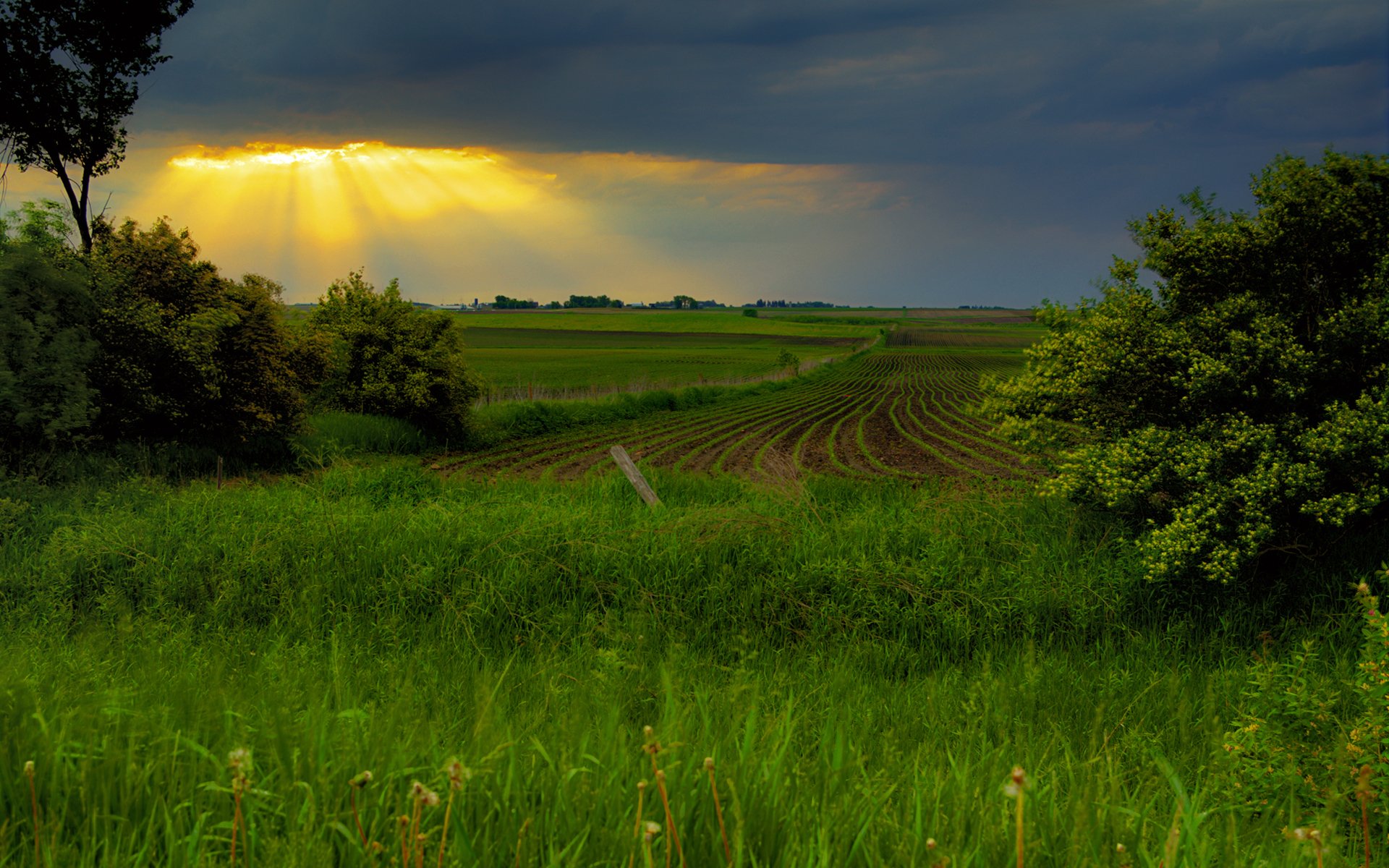 Serene Nature Landscape HD Wallpaper | 1920x1200 | Wallpaper Abyss