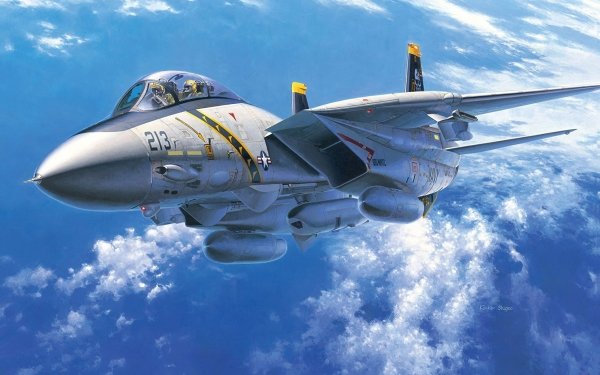Grumman F-14 Tomcat - Desktop Wallpapers, Phone Wallpaper, PFP, Gifs ...