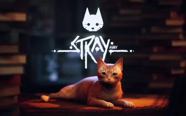[110+] Stray Wallpapers
